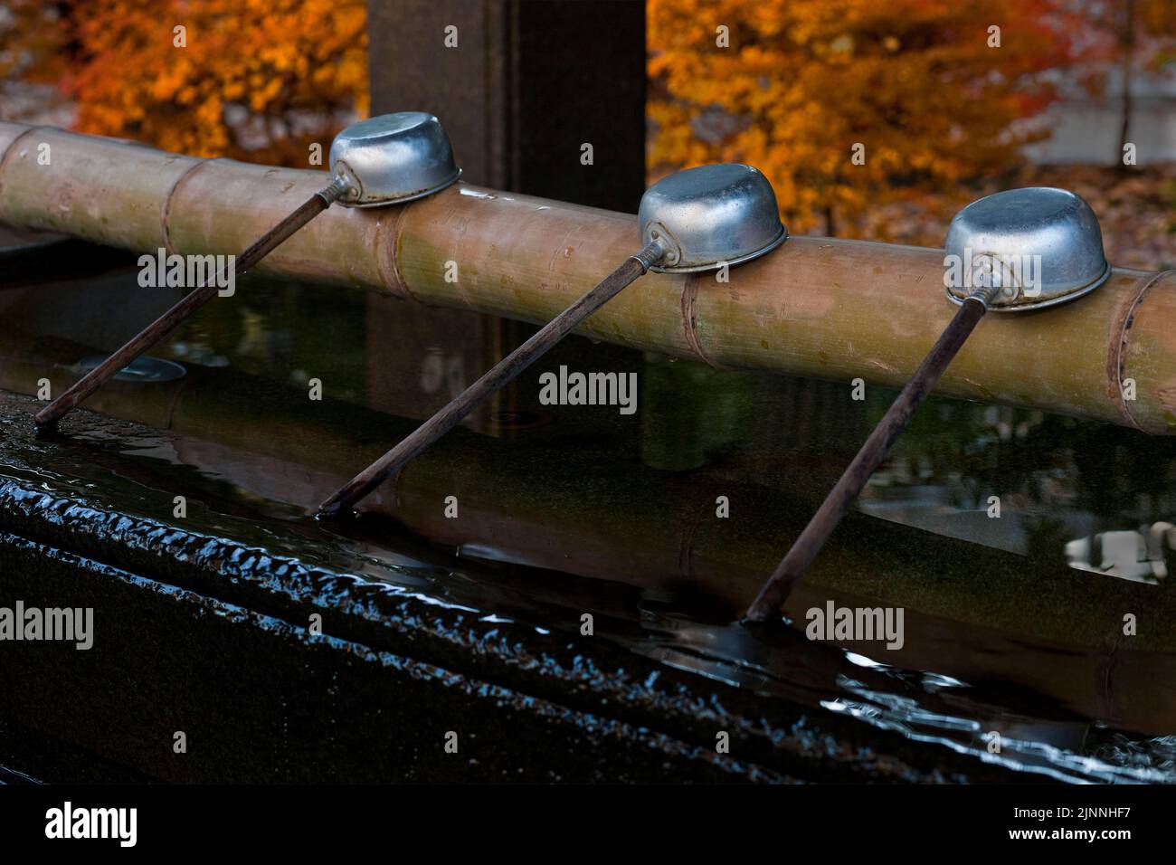 Water basin and dippers autumn Nezu Shrine Bunkyo Tokyo Japan Stock ...