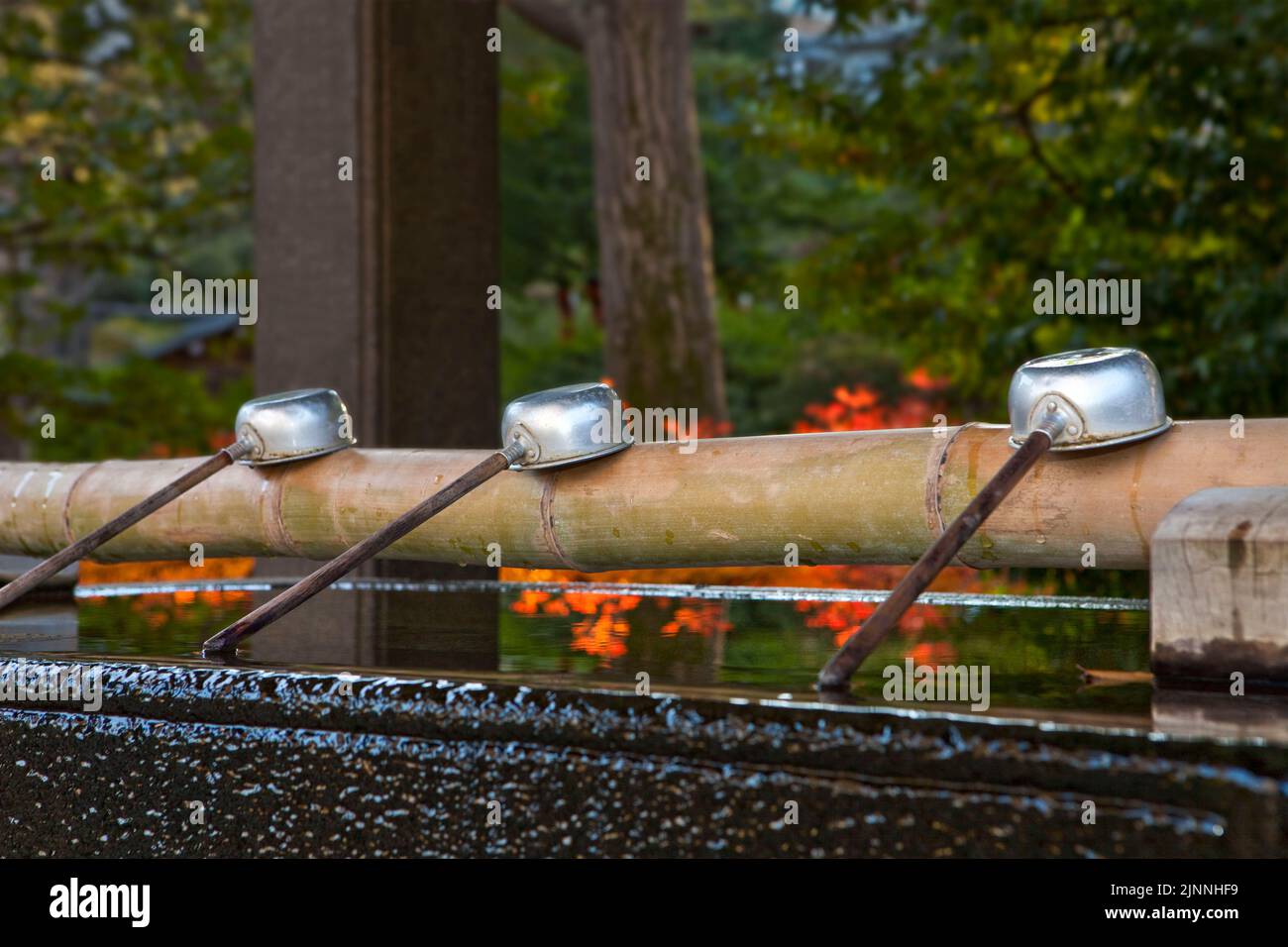 Water basin and dippers autumn Nezu Shrine Bunkyo Tokyo Japan Stock ...