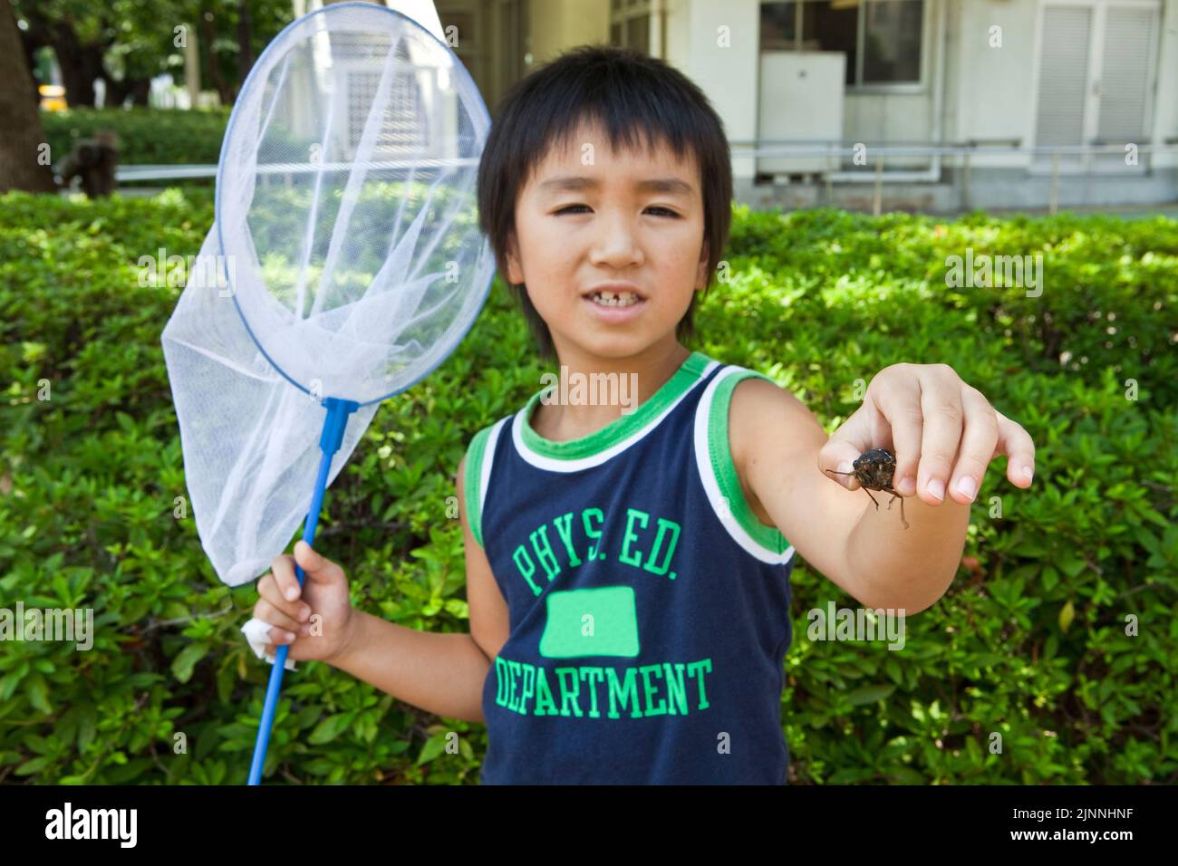Young boy with net shows off captured cicada Tokyo Japan Stock Photo ...