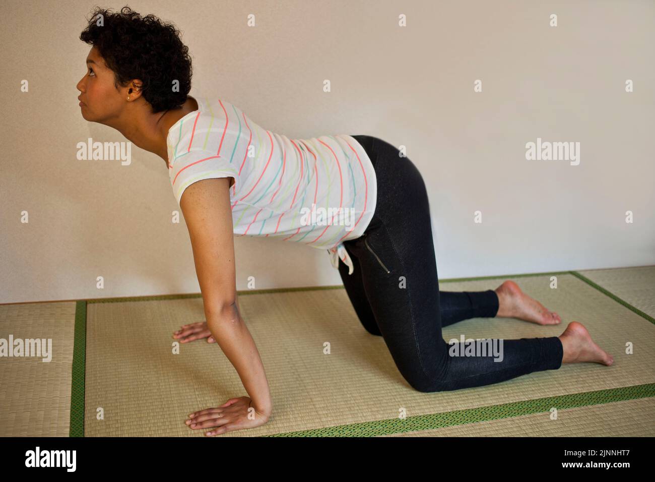 Young woman in yoga cow pose, Nakaikegami, Tokyo, Japan Stock Photo - Alamy