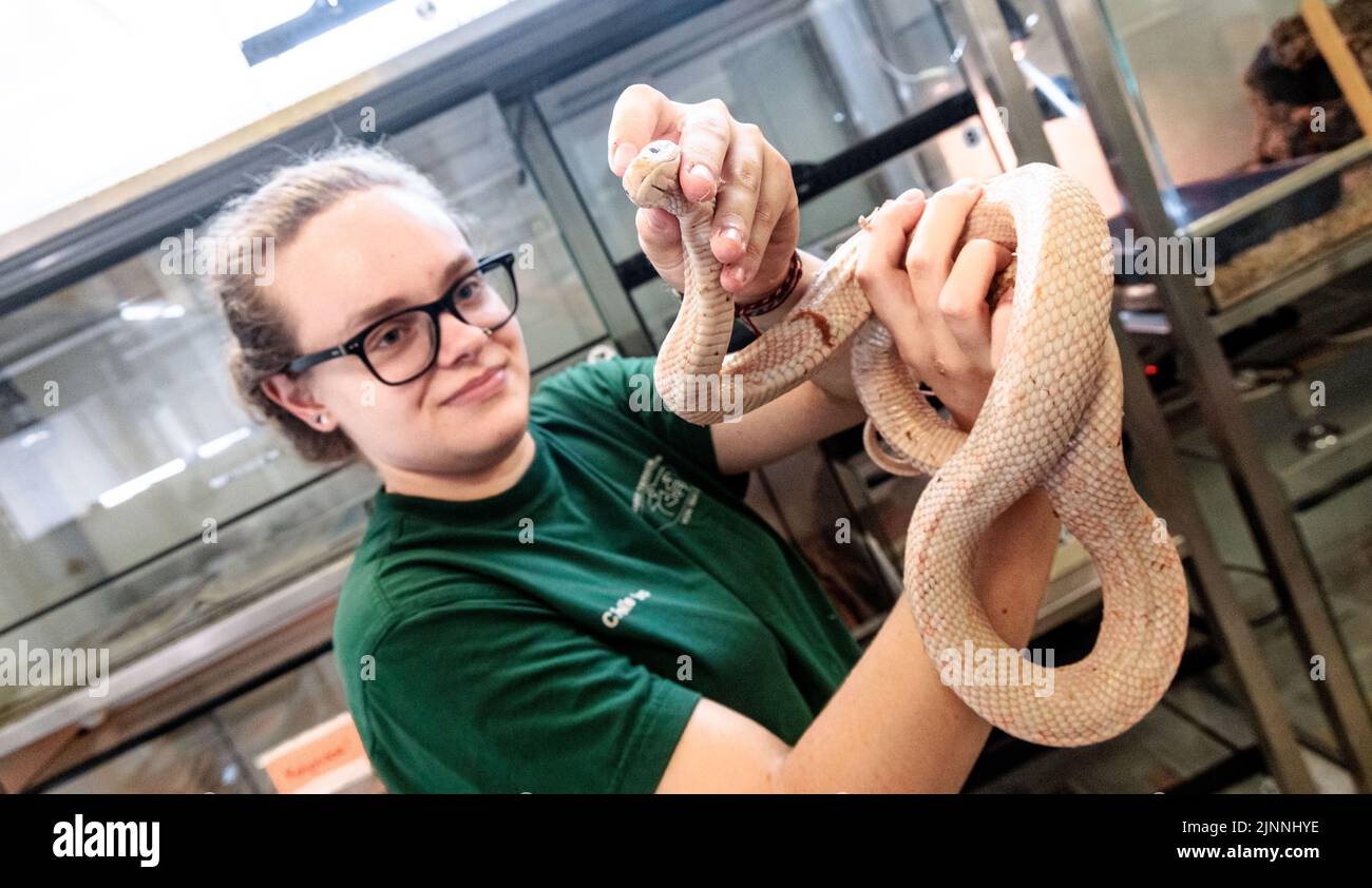 Carla markus hi-res stock photography and images - Alamy