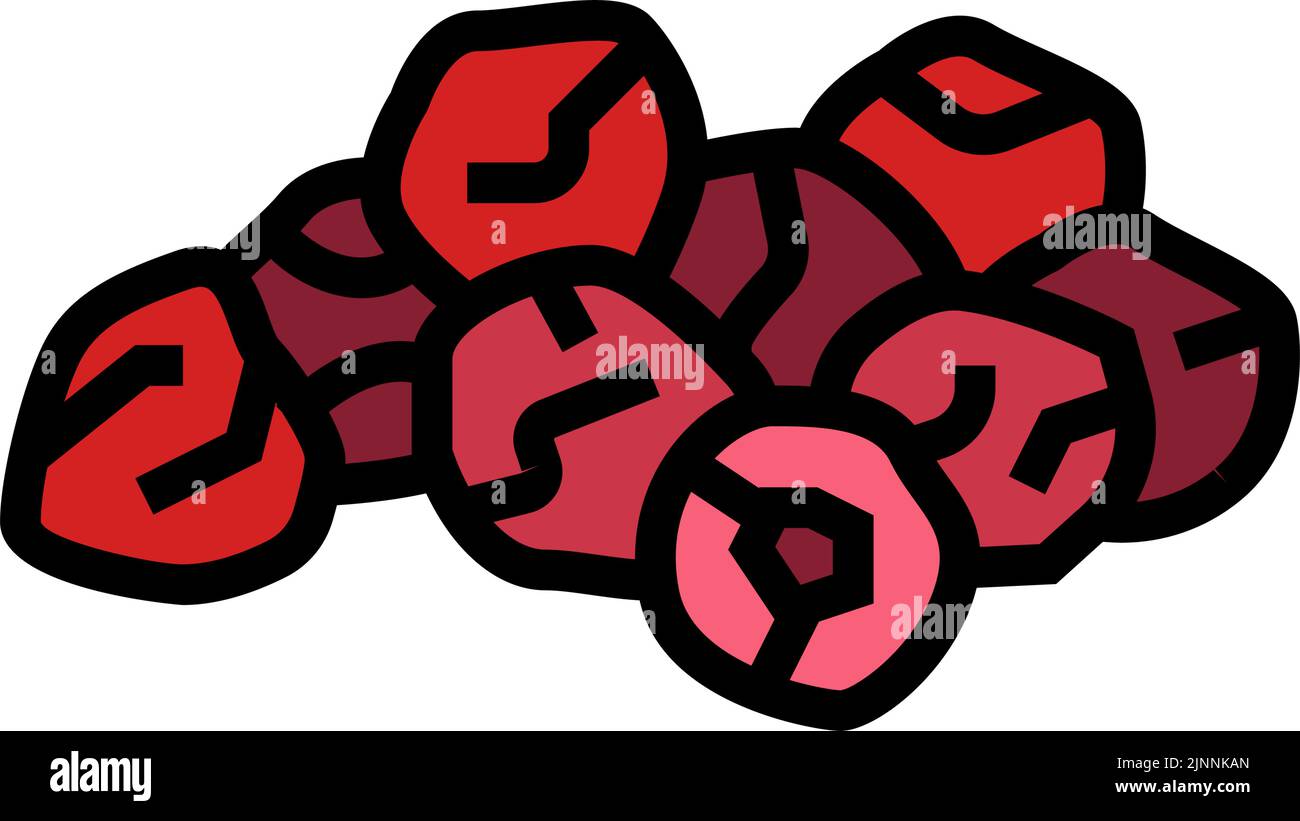 dried cherry color icon vector illustration Stock Vector Image & Art ...