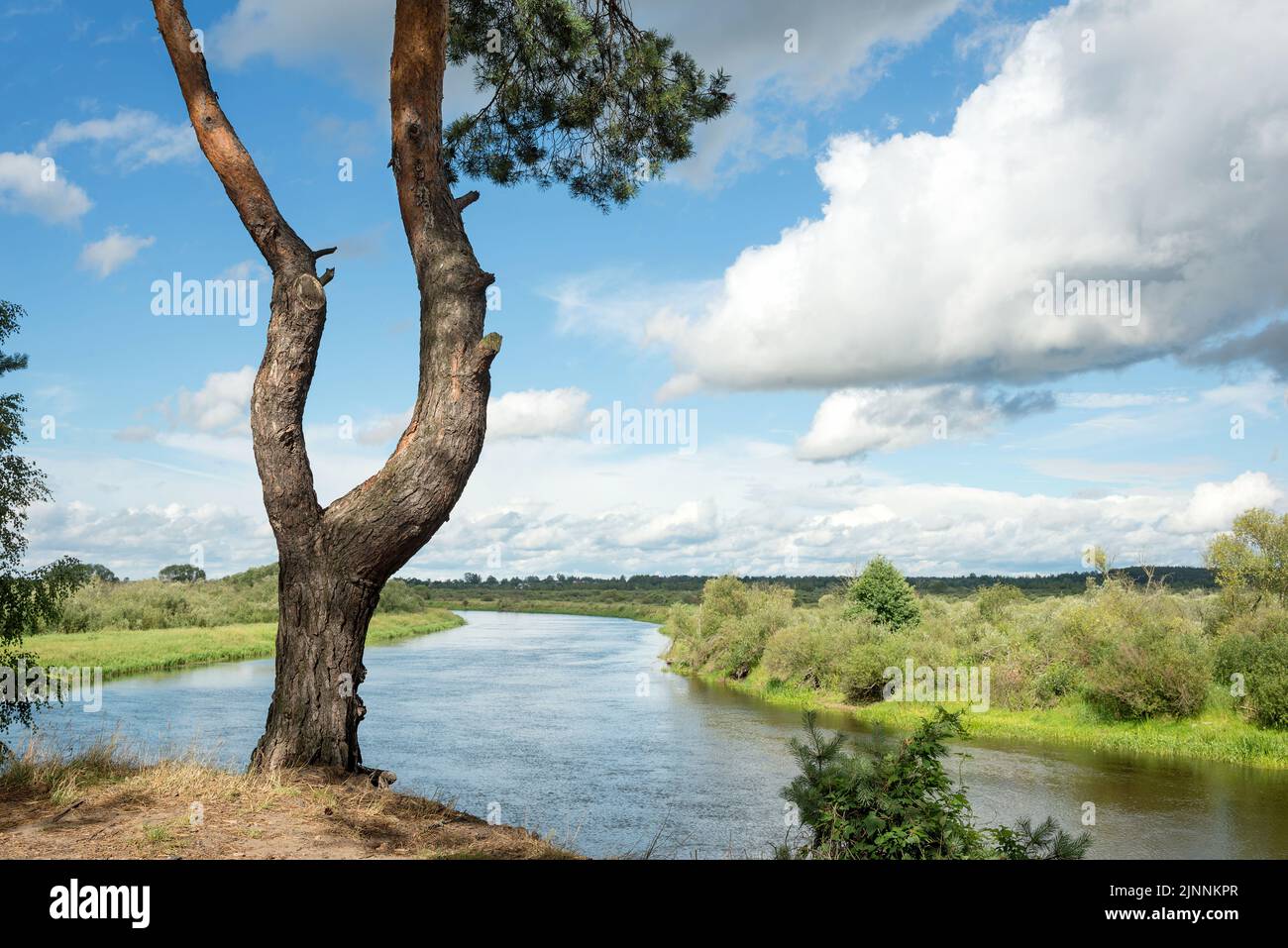 Banks of the berezina river hi-res stock photography and images - Alamy