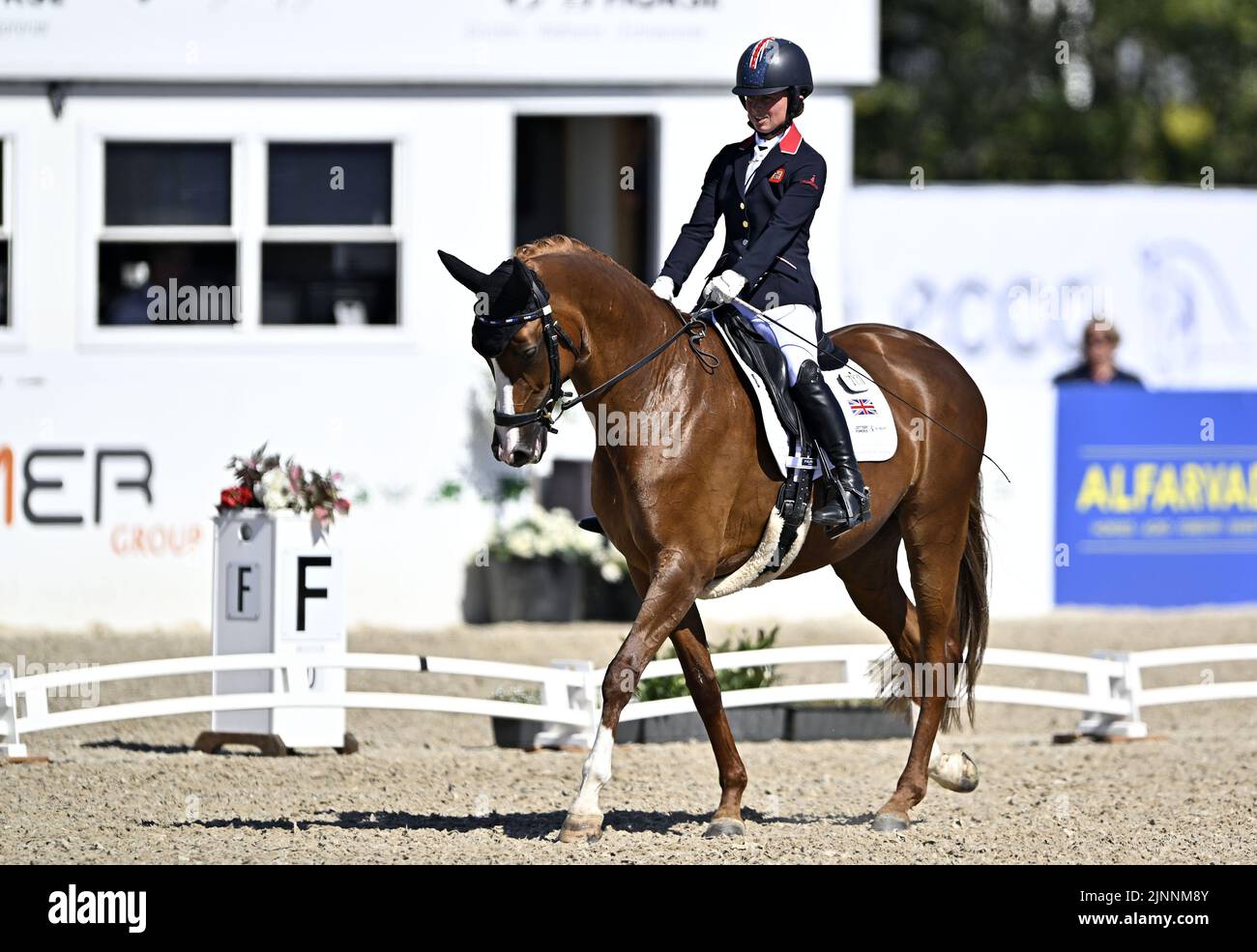 Herning, Denmark. 12th Aug, 2022. World Equestrian Games. Georgia ...
