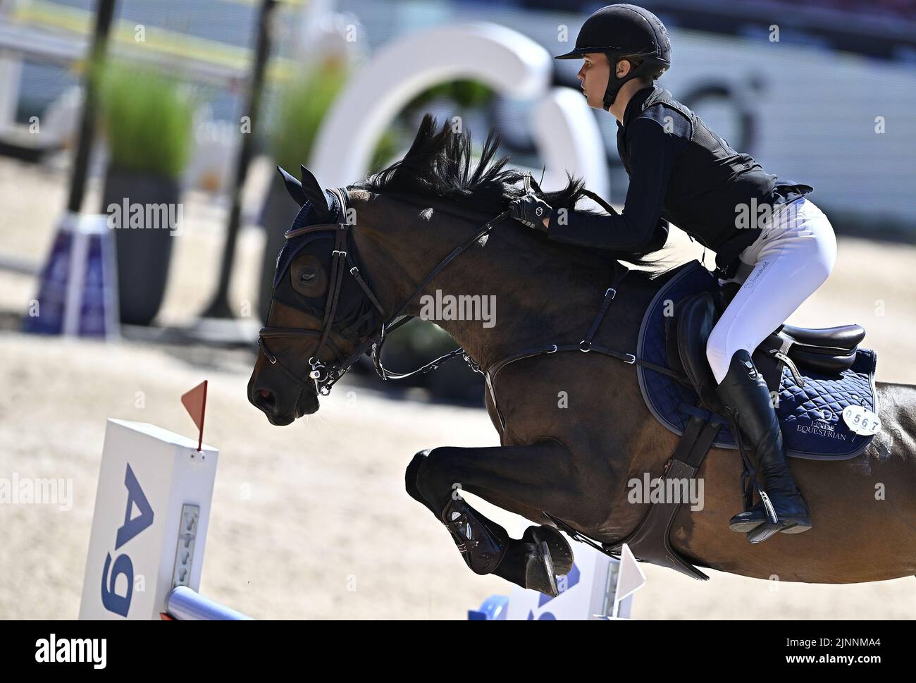 Linde equestrian hi-res stock photography and images - Alamy