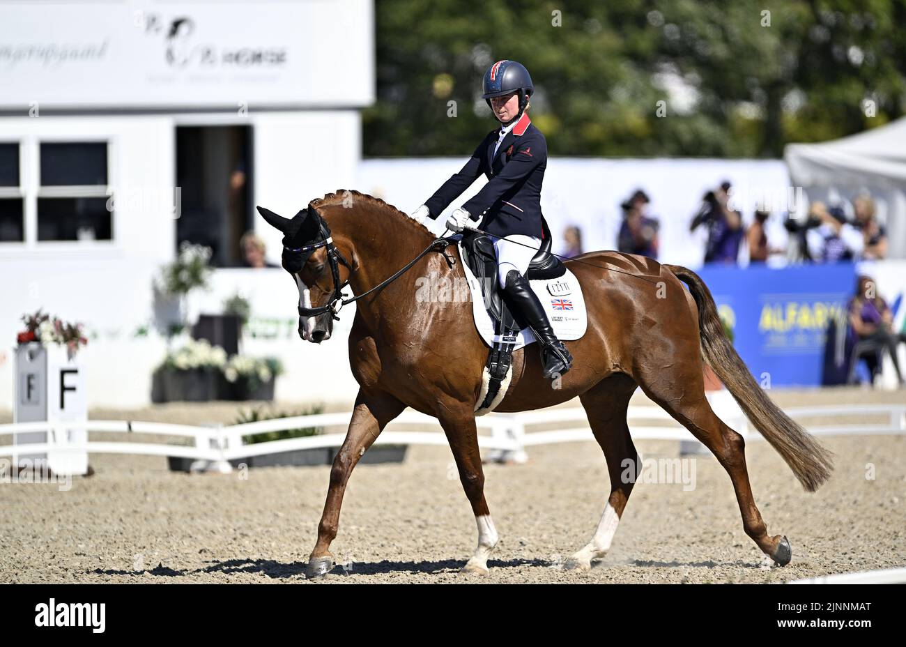 Georgia wilson dressage hi-res stock photography and images - Alamy