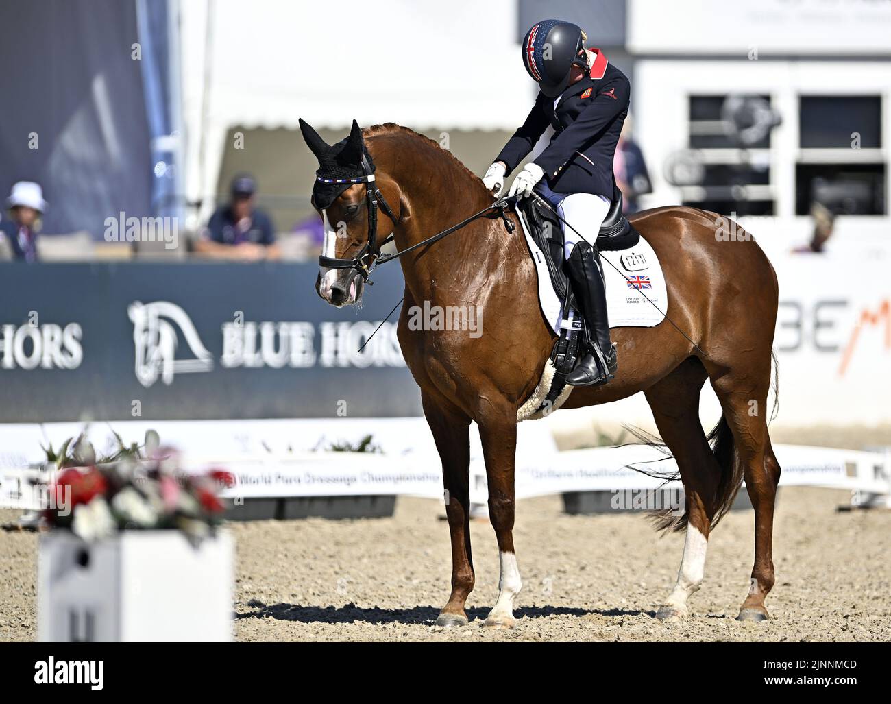 Herning, Denmark. 12th Aug, 2022. World Equestrian Games. Georgia ...