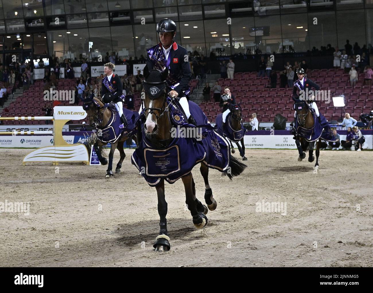 Herning bronze show jumping hi-res stock photography and images - Alamy
