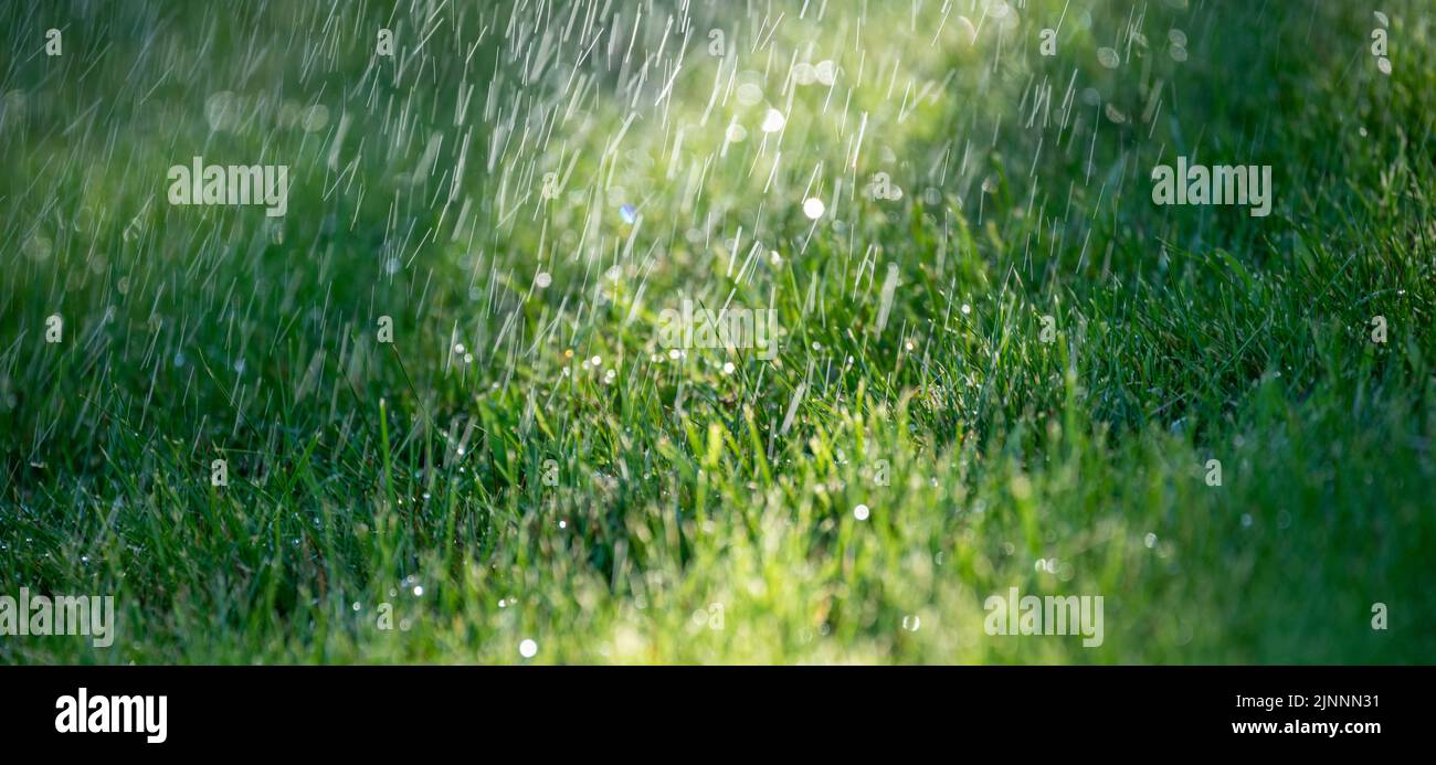 Raindrops fall on surface river hi-res stock photography and images - Alamy