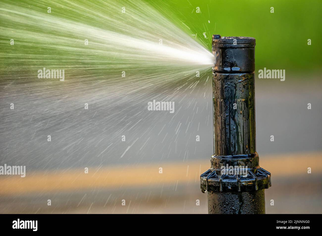 automatic sprinkler system watering the lawn close up Stock Photo - Alamy