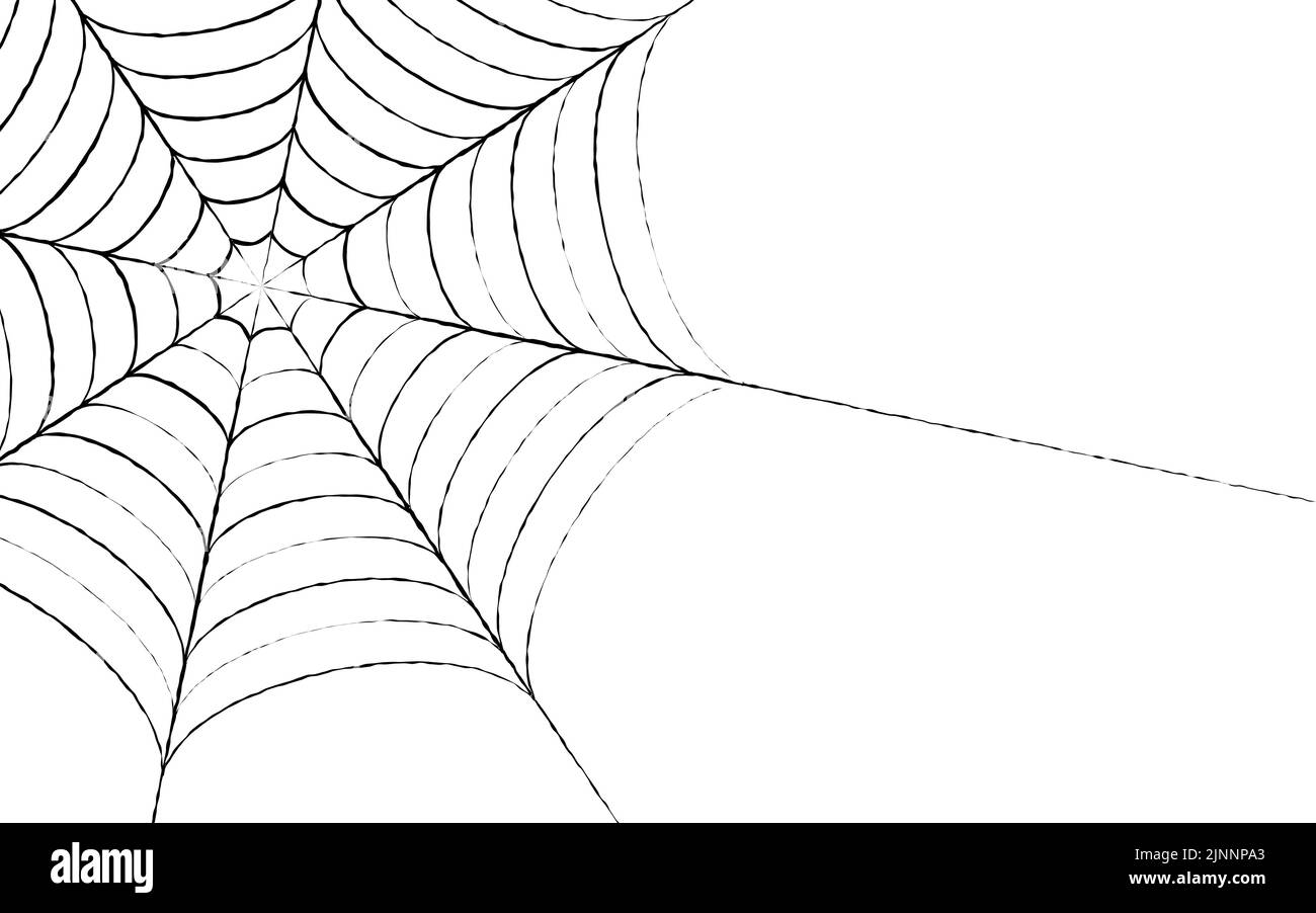 For Halloween and horror designs Spider web, white background Stock ...