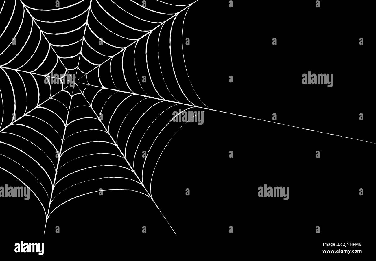 For Halloween and horror designs Spider web, black background Stock ...