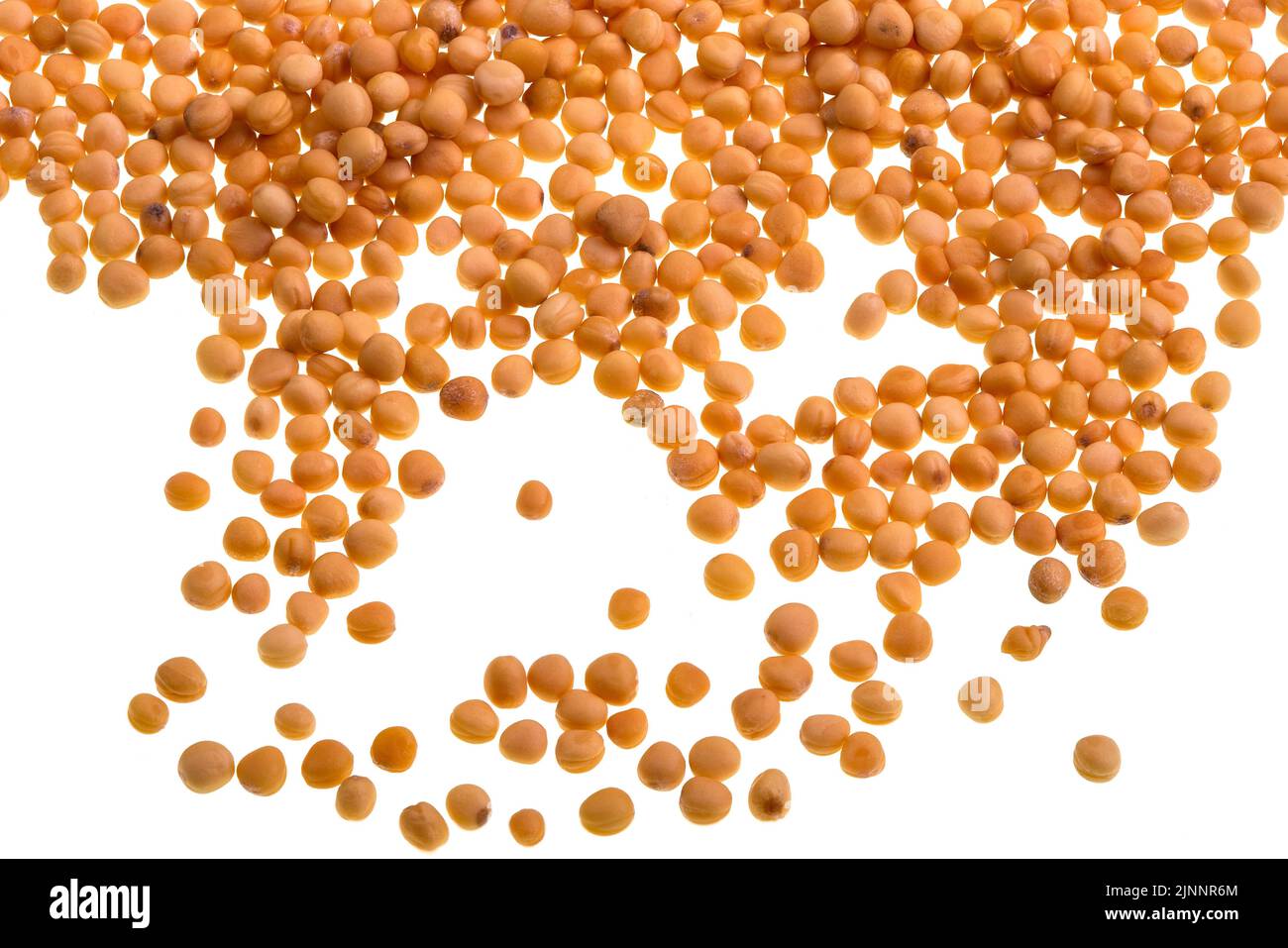Yellow mustard seeds are the small seeds of the white or yellow mustard ...