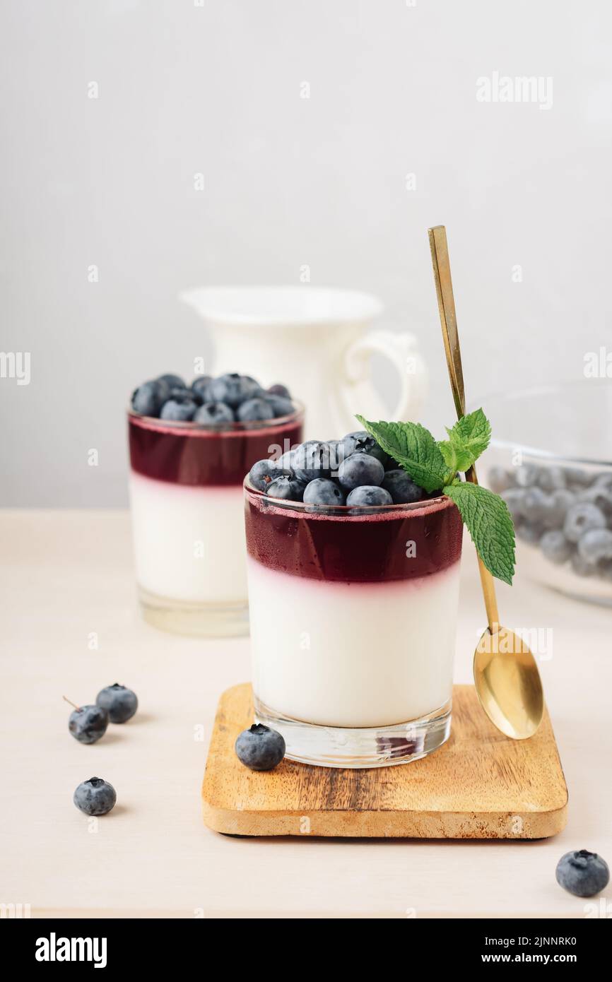 Gelatin dessert with blueberries. Yogurt and blueberry jelly Stock ...