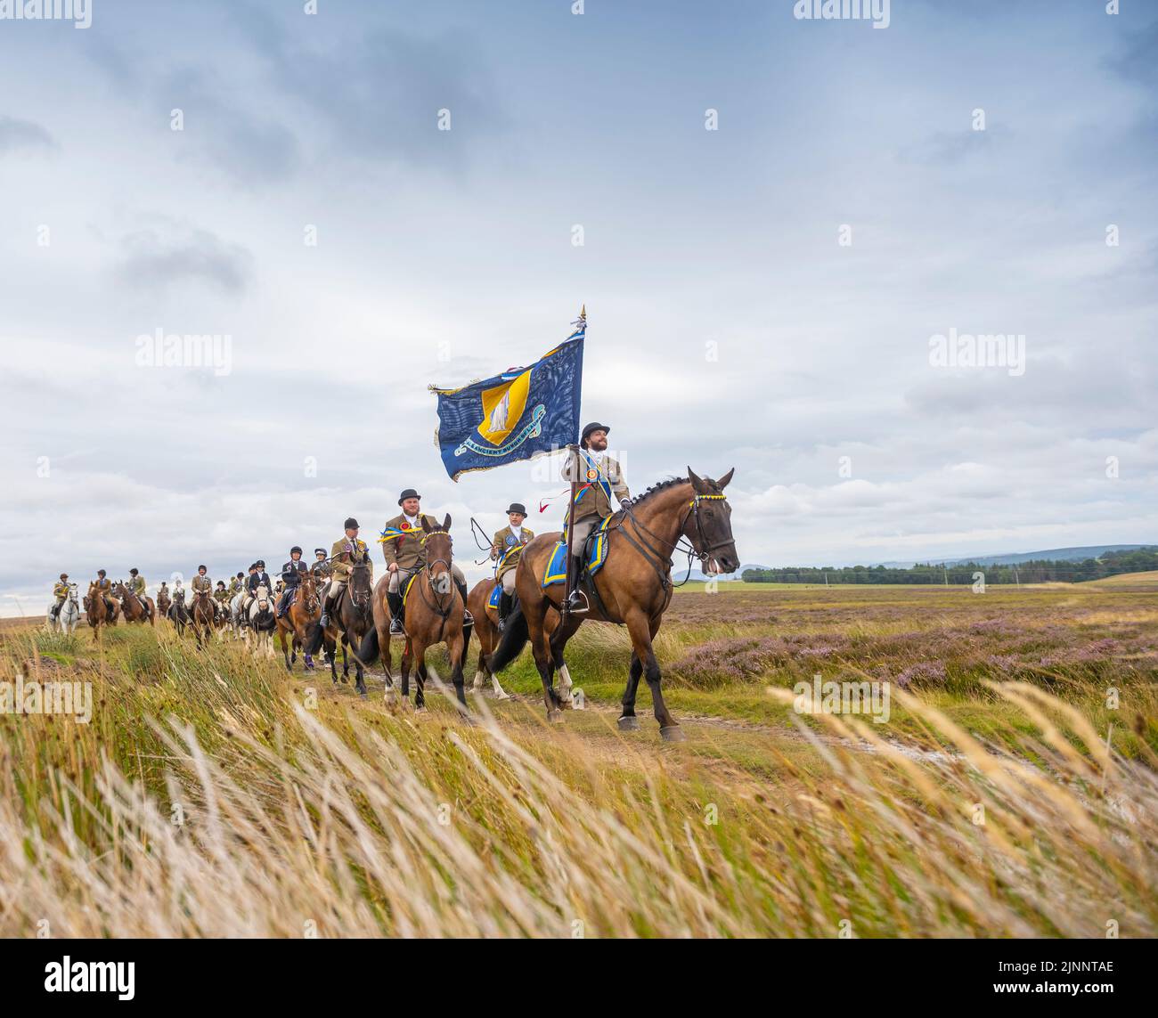 Wilkinson 2022 hi-res stock photography and images - Alamy