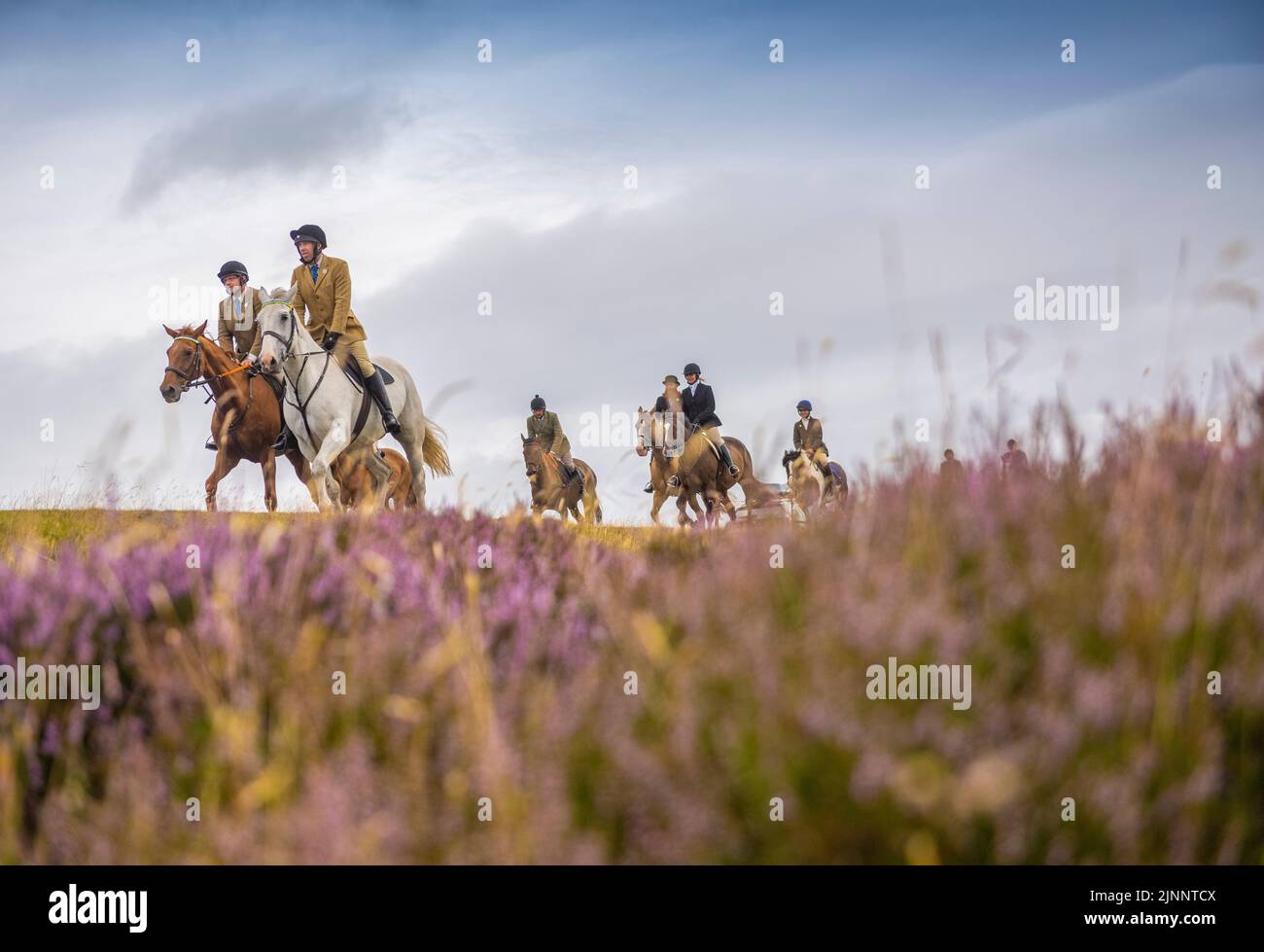 6th August 2022 Lauder Common Riding 2022. Picture Phil Wilkinson Stock ...