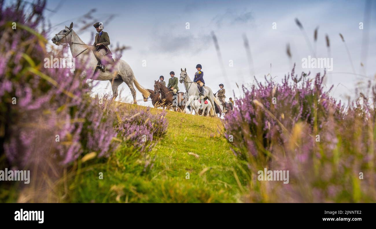 6th August 2022 Lauder Common Riding 2022. Picture Phil Wilkinson Stock ...
