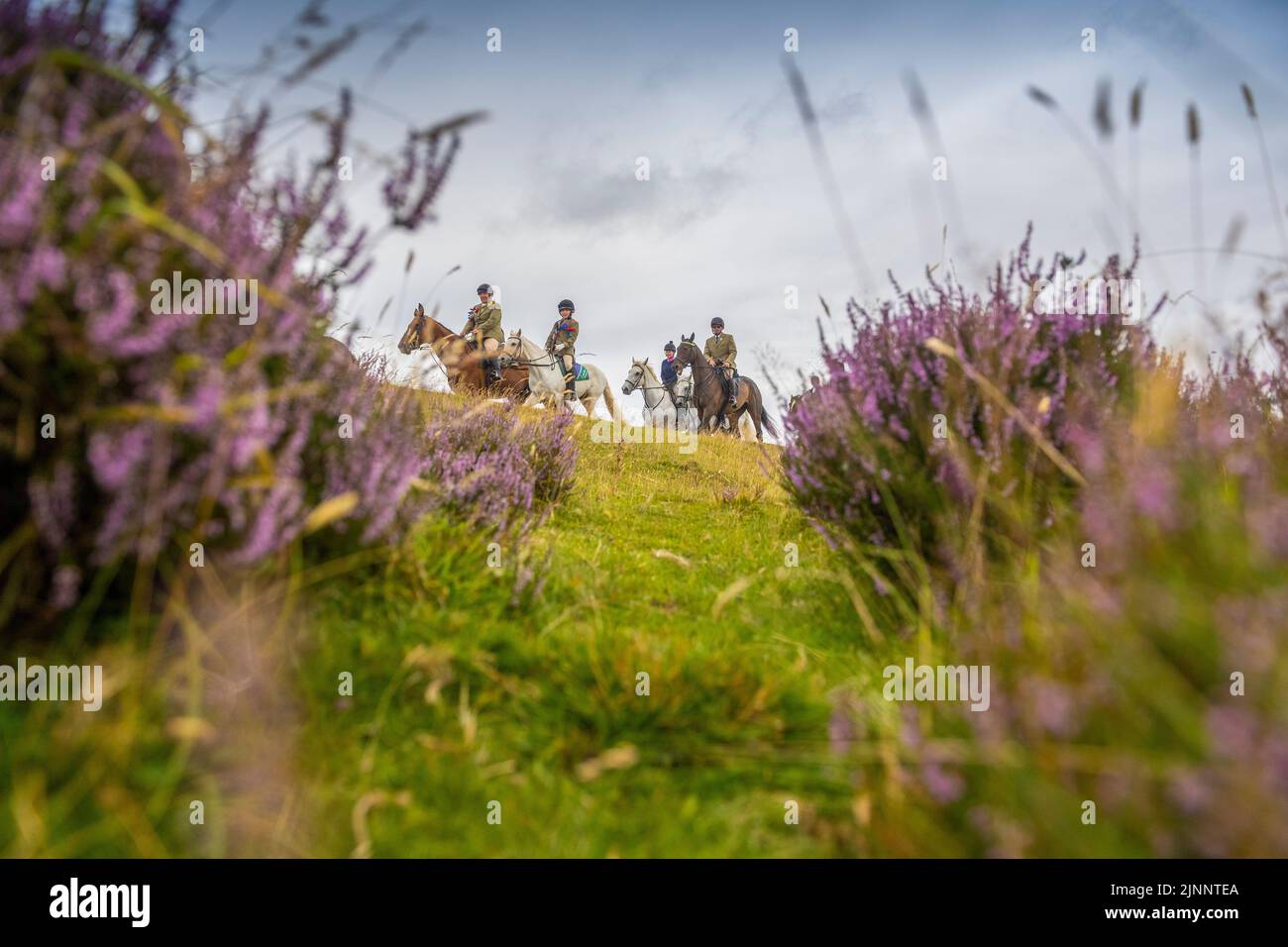 6th August 2022 Lauder Common Riding 2022. Picture Phil Wilkinson Stock ...