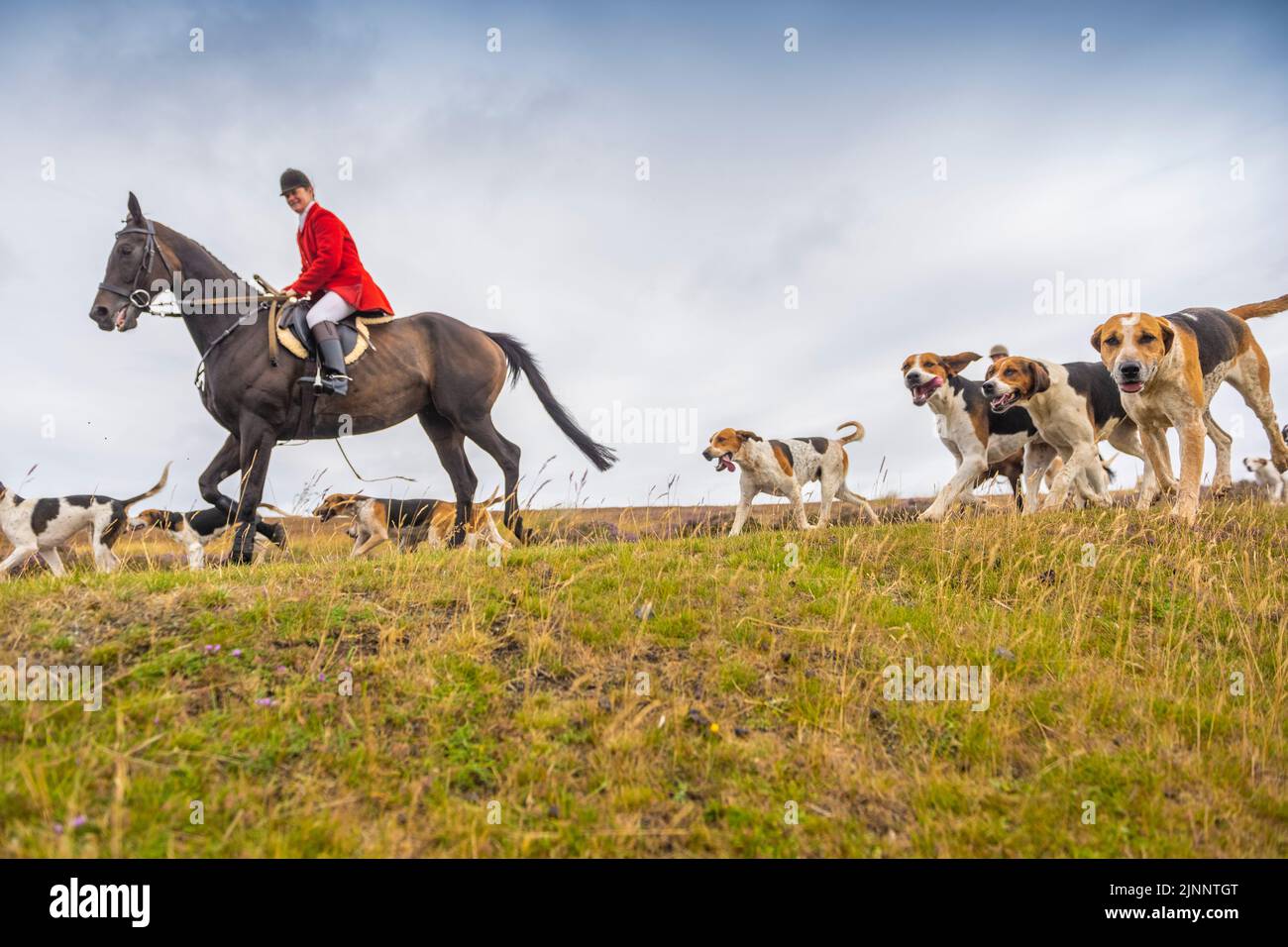 6th August 2022 Lauder Common Riding 2022. Picture Phil Wilkinson Stock ...
