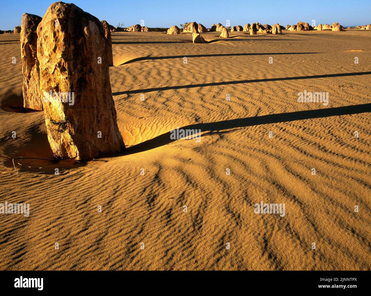 Limestone Pinnacle Formation, Nambung National Park, Cervantes, Western ...