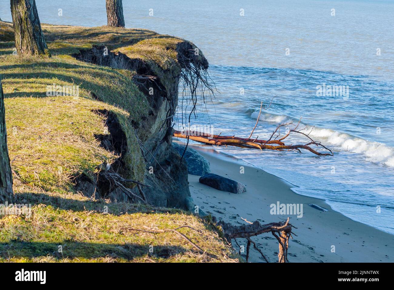Coastal crumbling after a storm. Destruction on a seashore. The erosion ...