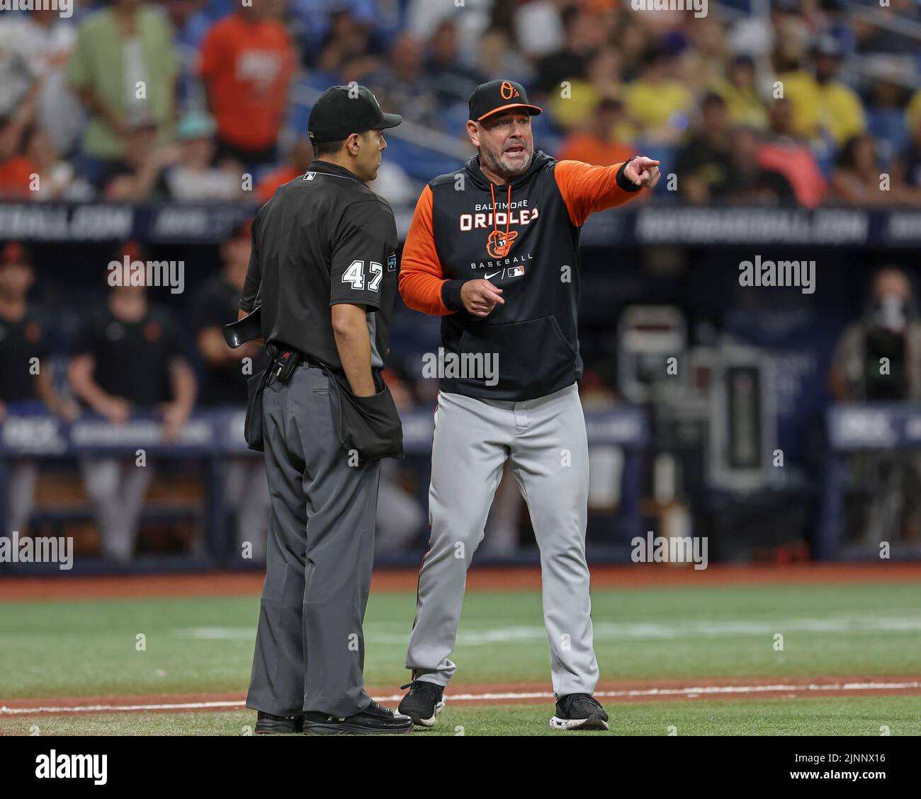 St. Petersburg, FL. USA; Baltimore Orioles manager Brandon Hyde (18 ...