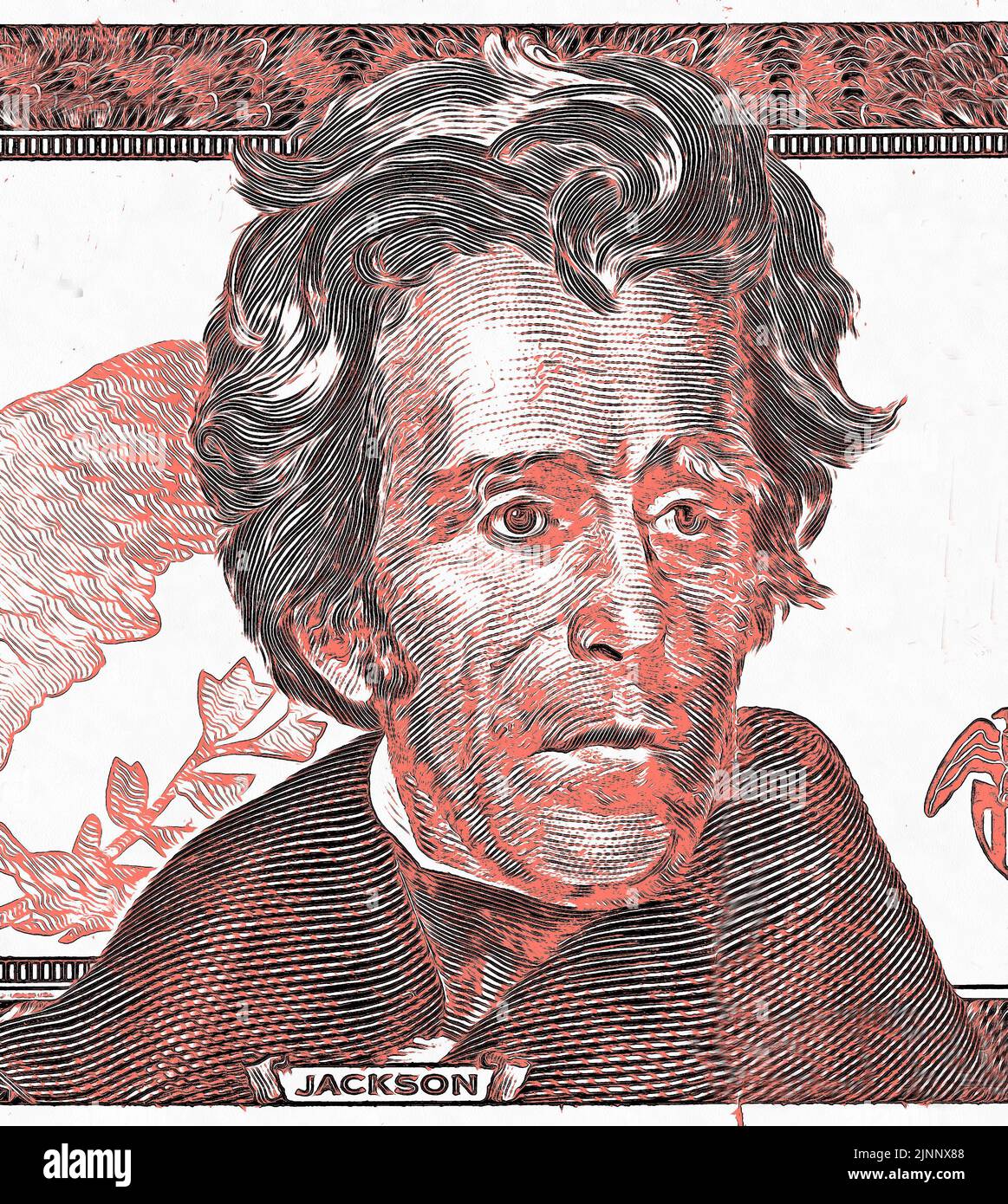 Portrait Andrew Jackson (1767-1845),US political and military leader ...
