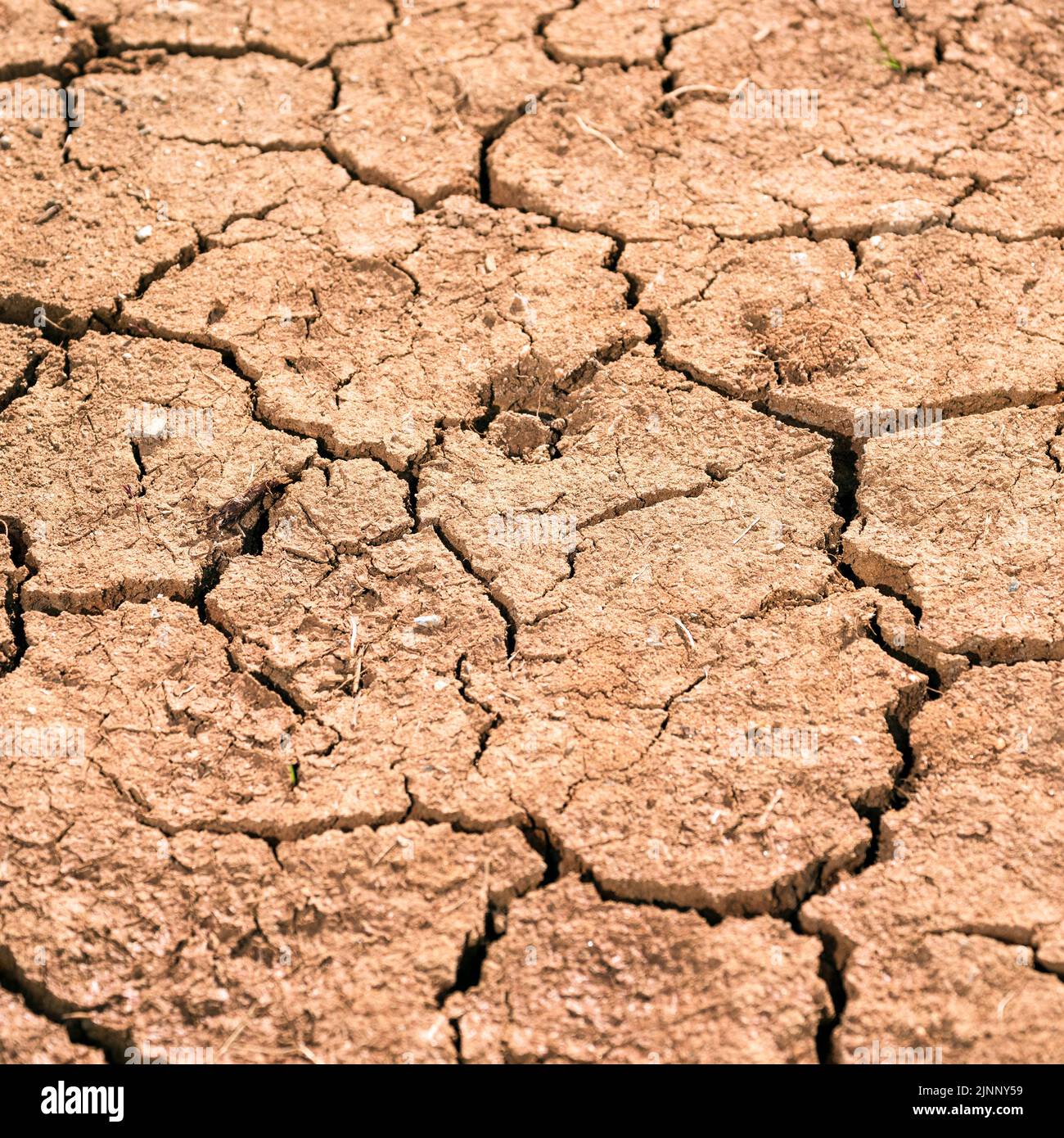 Texture of a cracked surface of a soil Stock Photo - Alamy