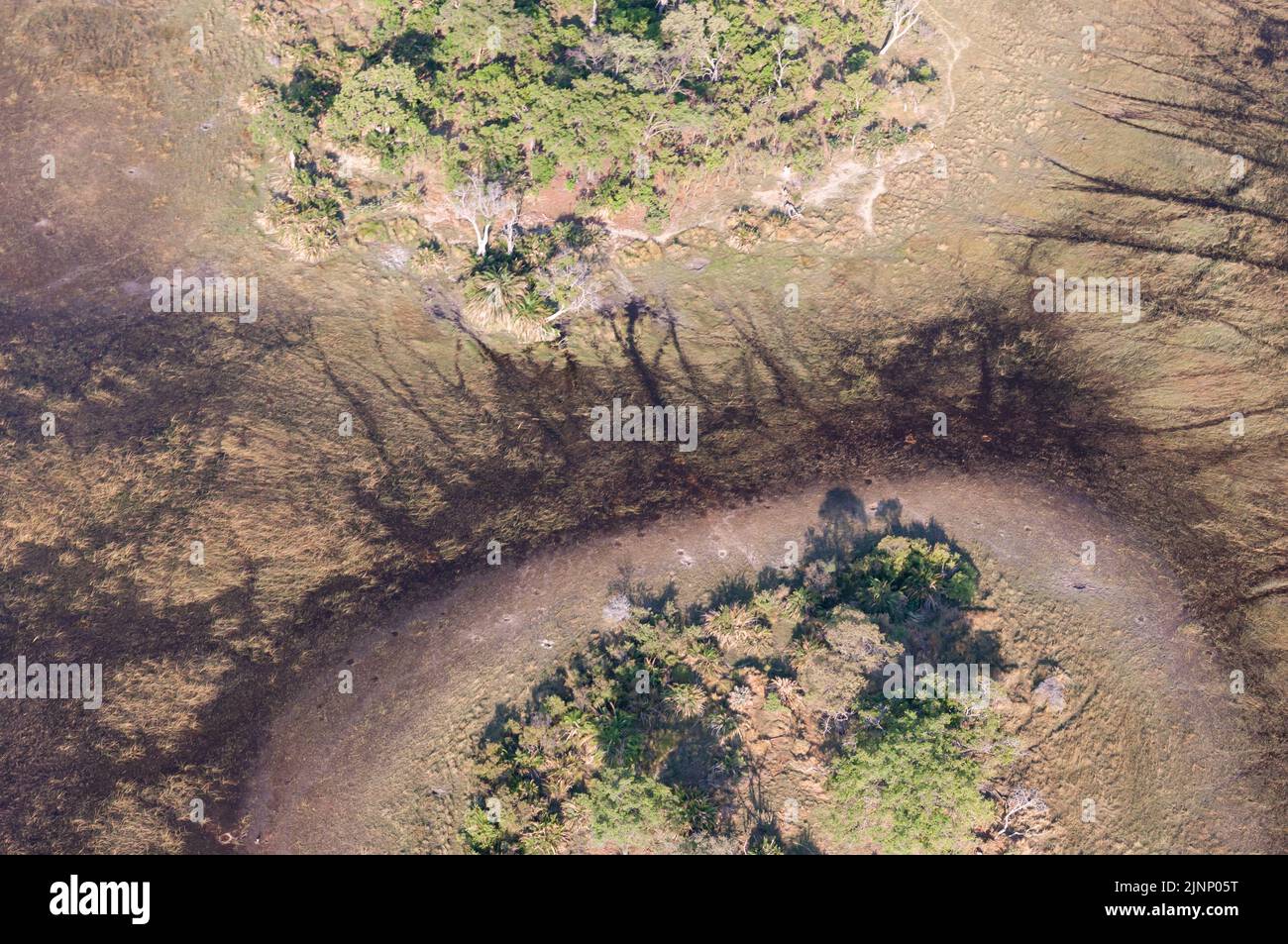 Green vegetation natural okavango hi-res stock photography and images ...