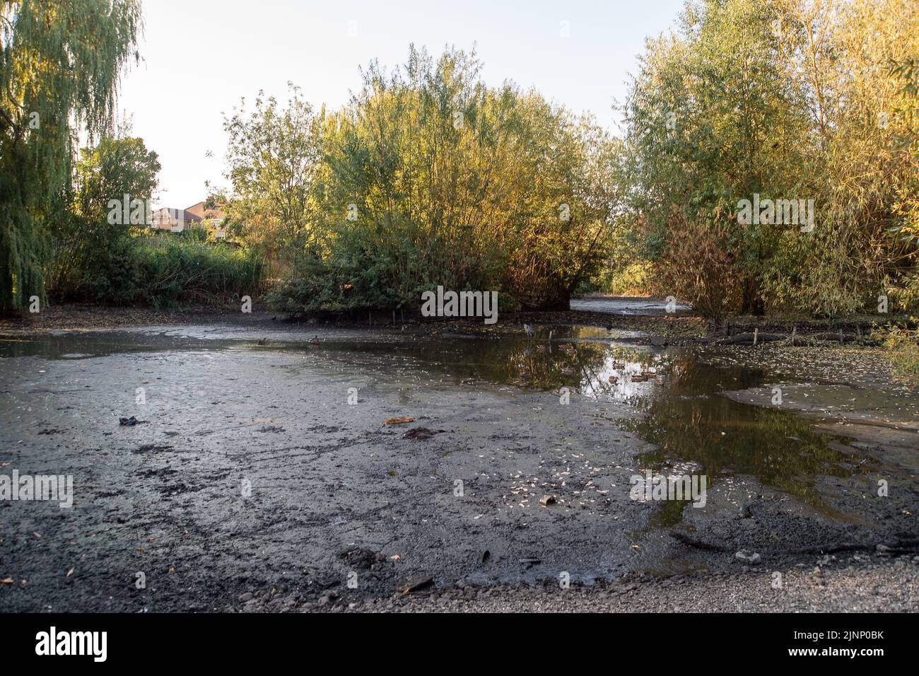 Slough, Berkshire, UK. 13th August, 2022. Following the extreme ...