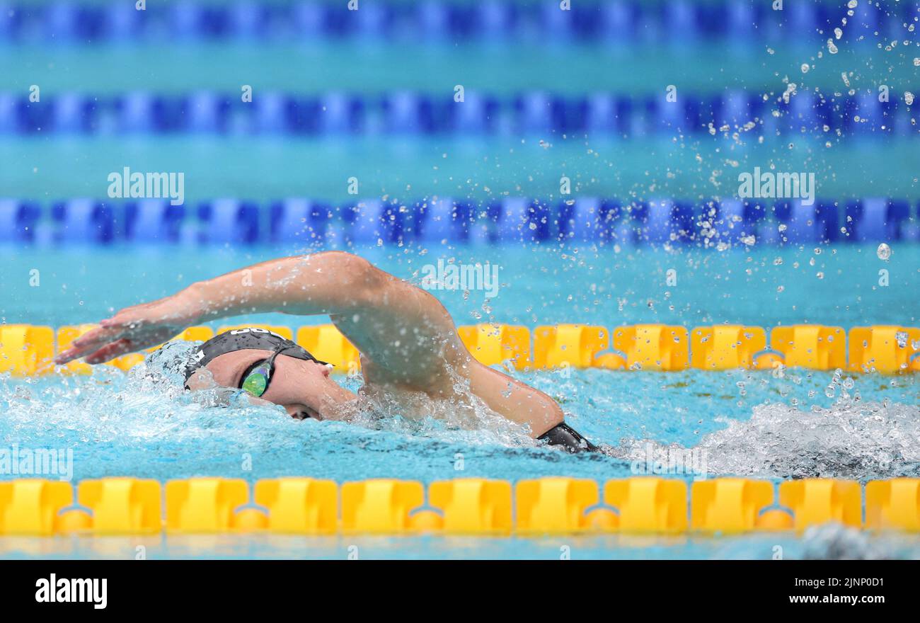 Gose isabel hi-res stock photography and images - Alamy