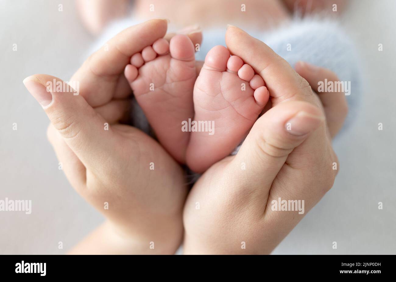 Newborn baby portrait Stock Photo - Alamy
