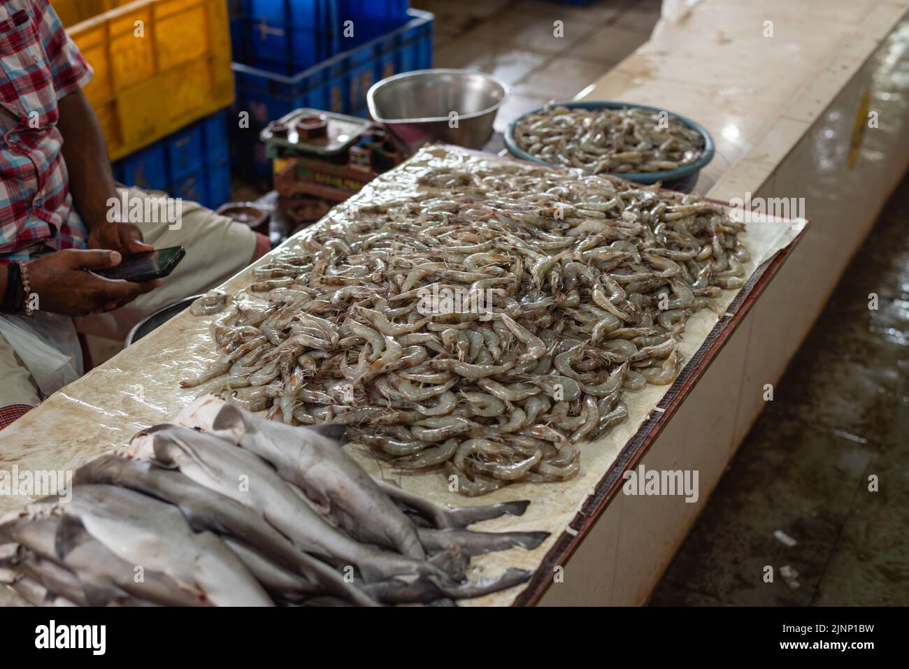 Panaji Goa India April 9 2022: Fisher woman selling Freshly caught fish ...