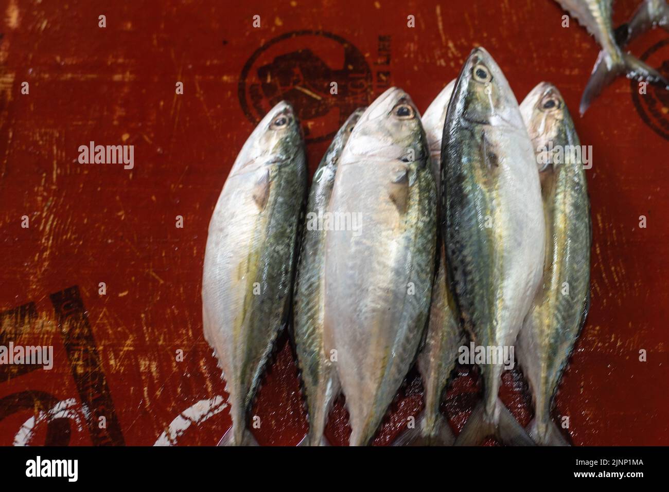 India goa panaji panjim market hi-res stock photography and images - Alamy