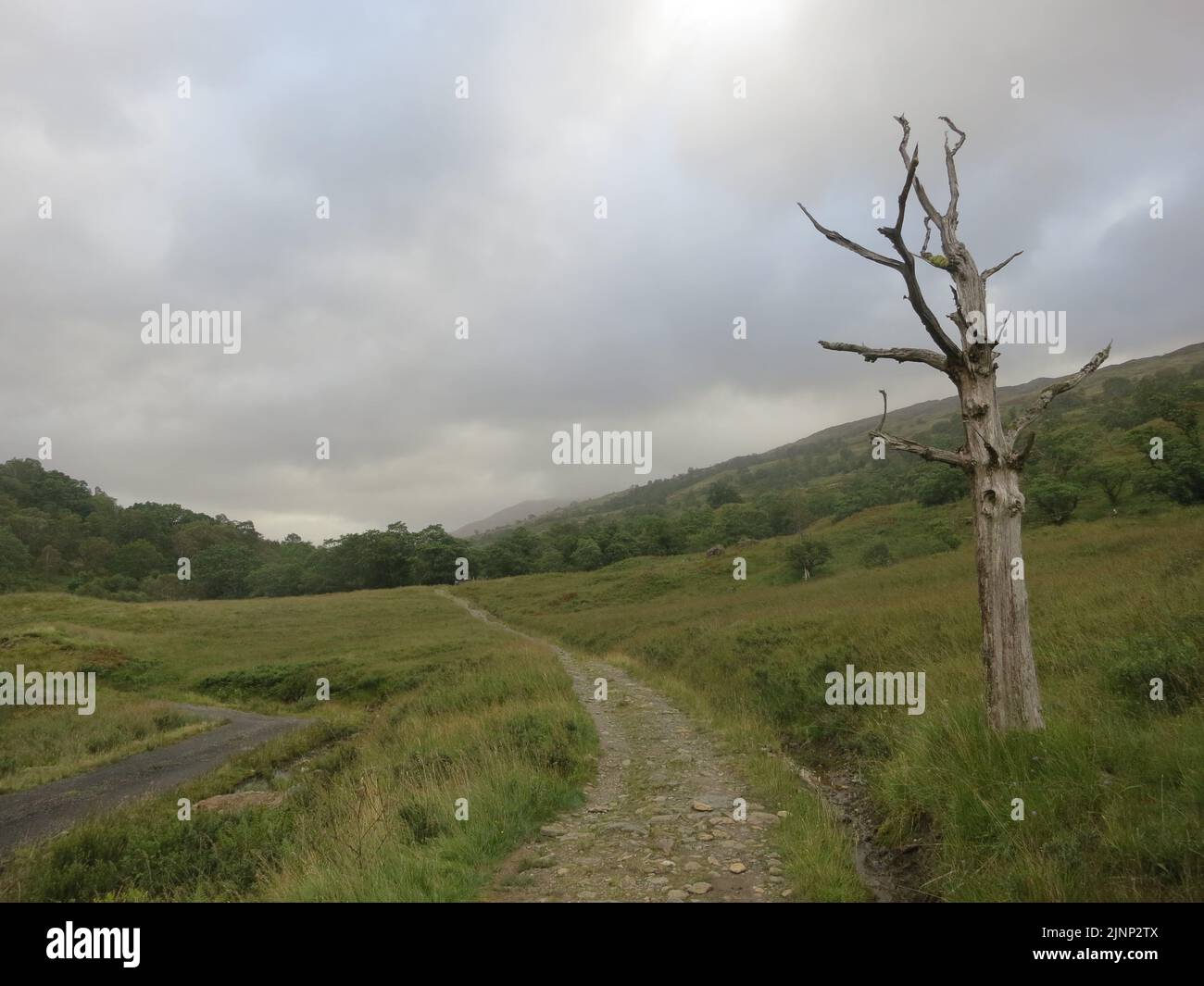 West Highland Way Scotland's Great Trails Long Distance Route. Scottish ...