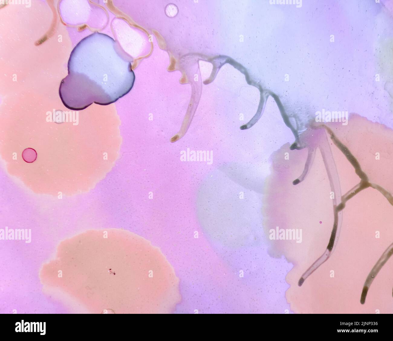 Ethereal Paint Pattern. Alcohol Ink Wave Stock Photo - Alamy