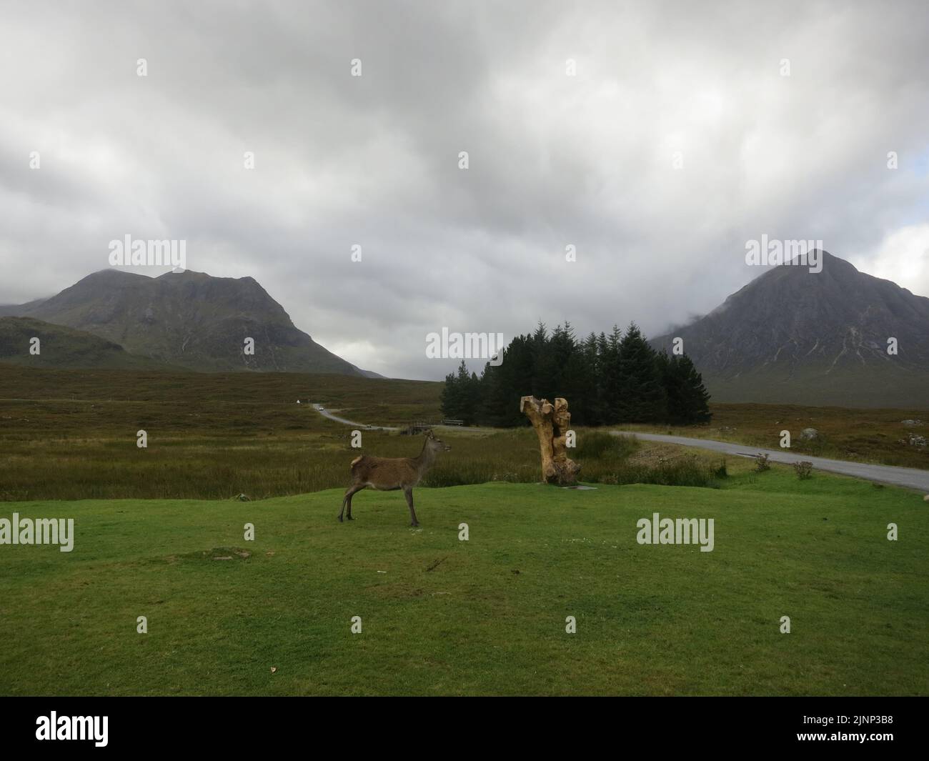 West Highland Way Scotland's Great Trails Long Distance Route. Scottish ...