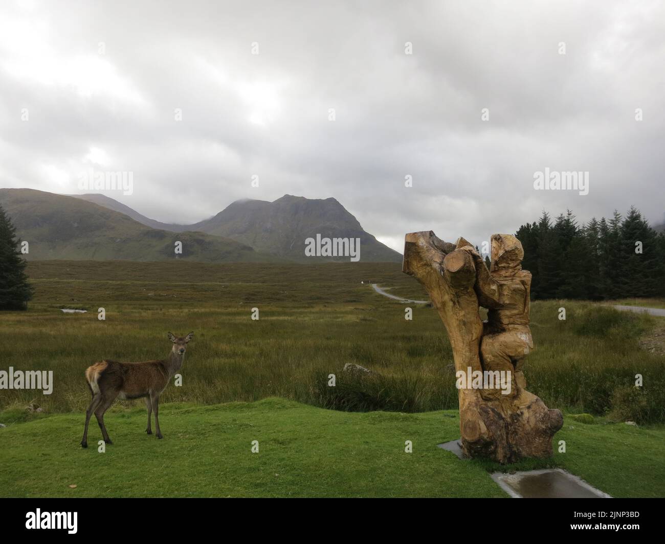 West Highland Way Scotland's Great Trails Long Distance Route. Scottish ...