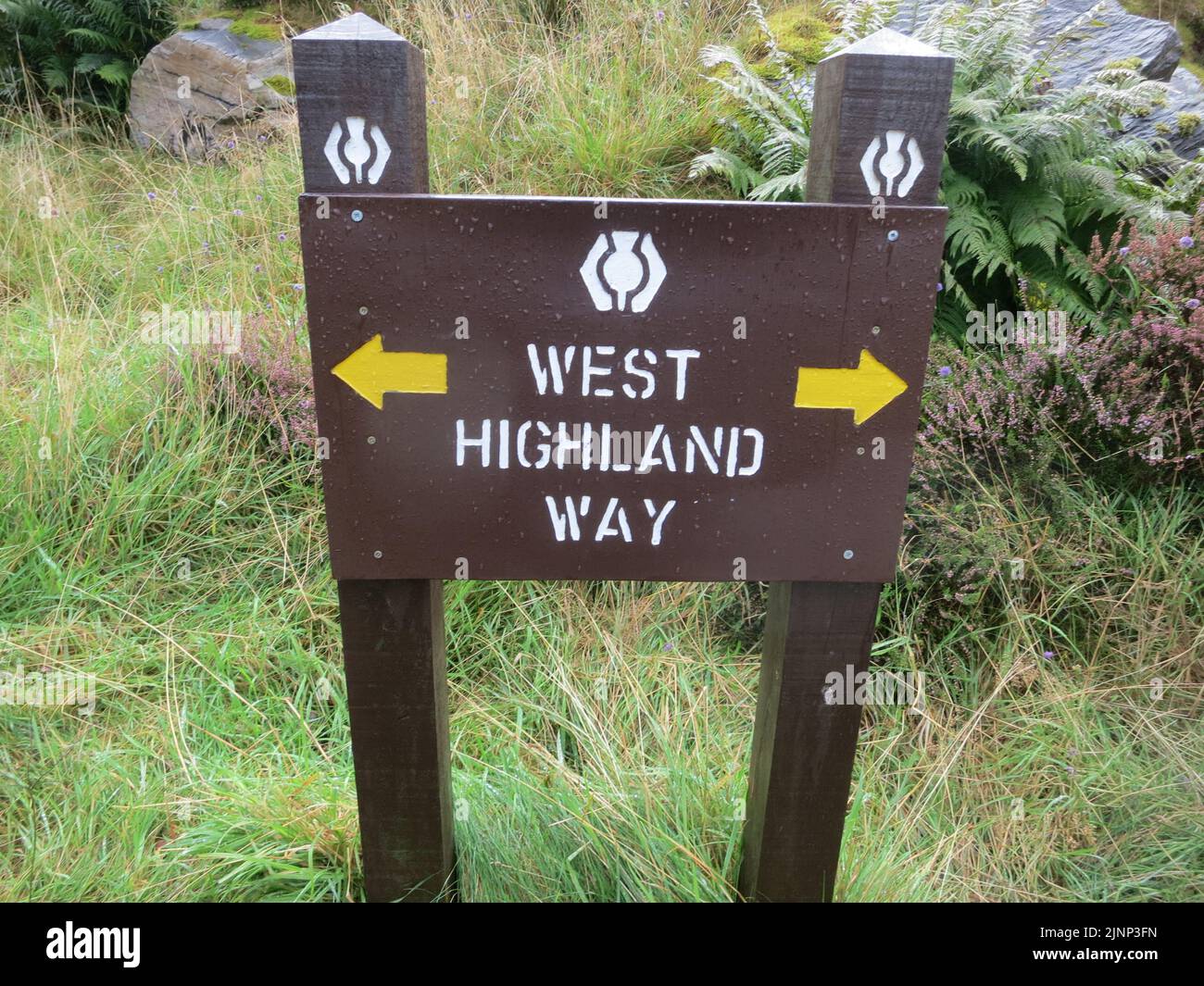 West Highland Way Scotland's Great Trails Long Distance Route. Scottish ...
