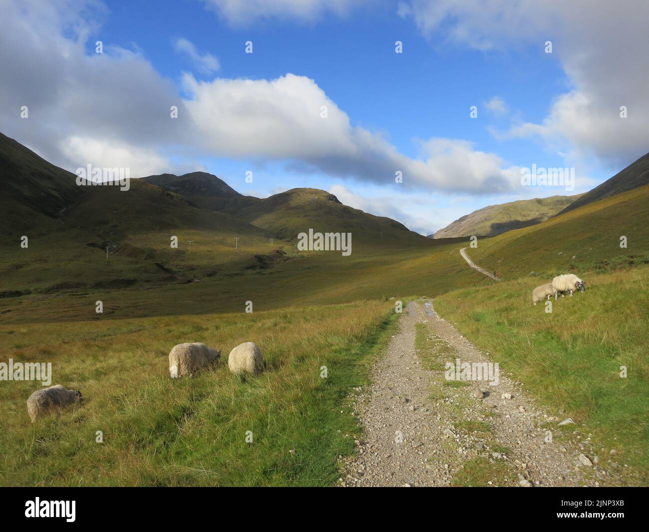 West Highland Way Scotland's Great Trails Long Distance Route. Scottish ...