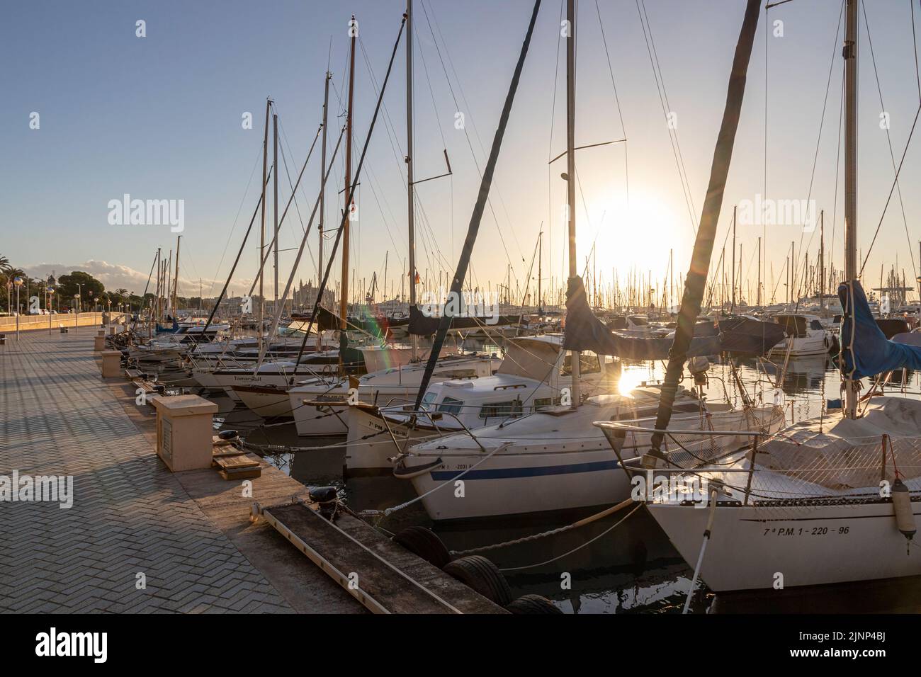Palma de Mallorca, Spain. Views of the Port de Palma, most important ...