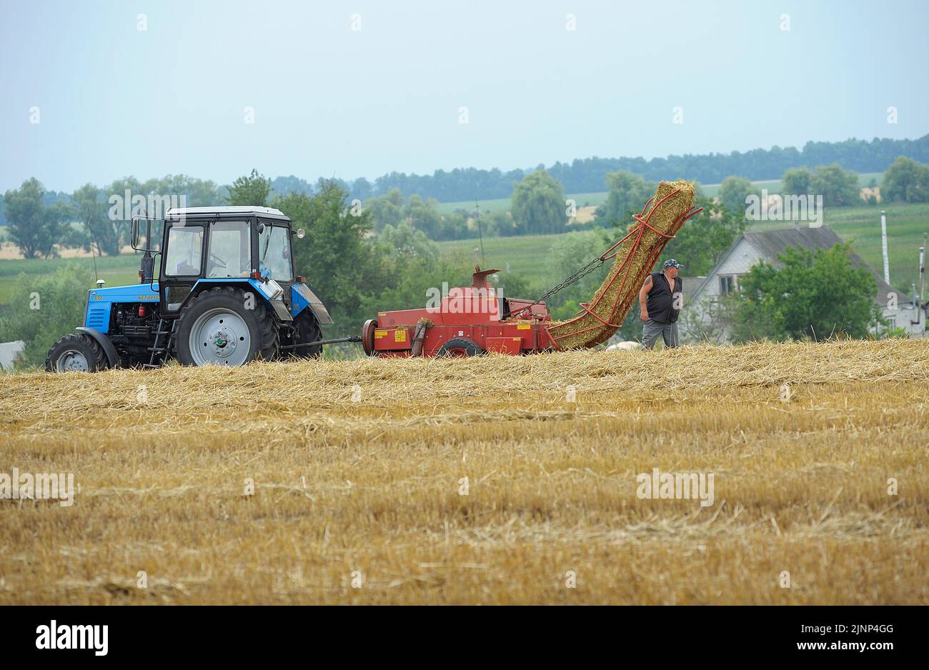 Farmers gathering hay on a field using tractor and trailer. July 18 ...