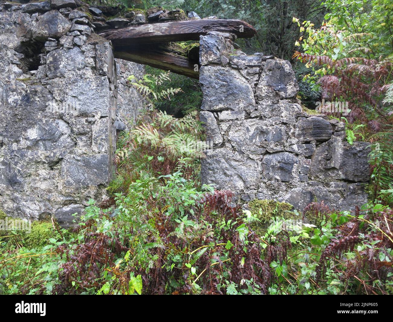 The Great Glen Way Scotland's Great Trails long distance path. Scottish ...