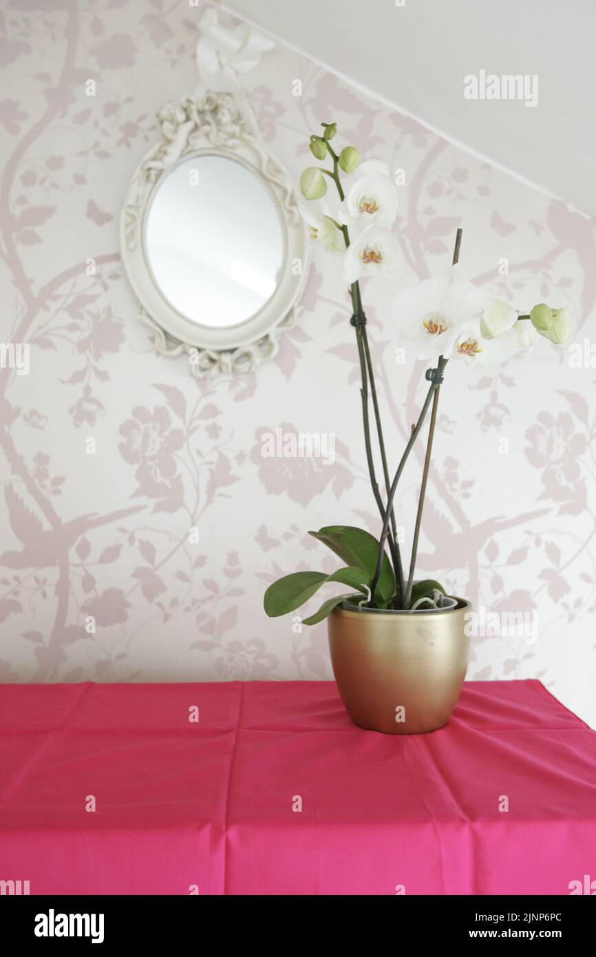 Flowers on a white dressing table hi-res stock photography and images ...