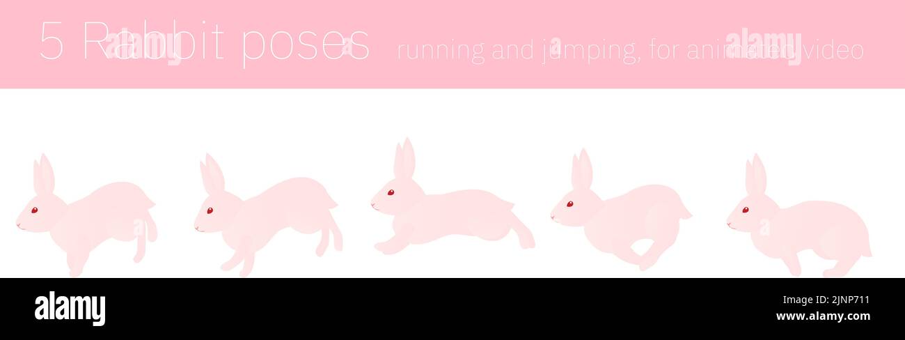 Rabbit movements for animation, running and jumping movements Stock ...