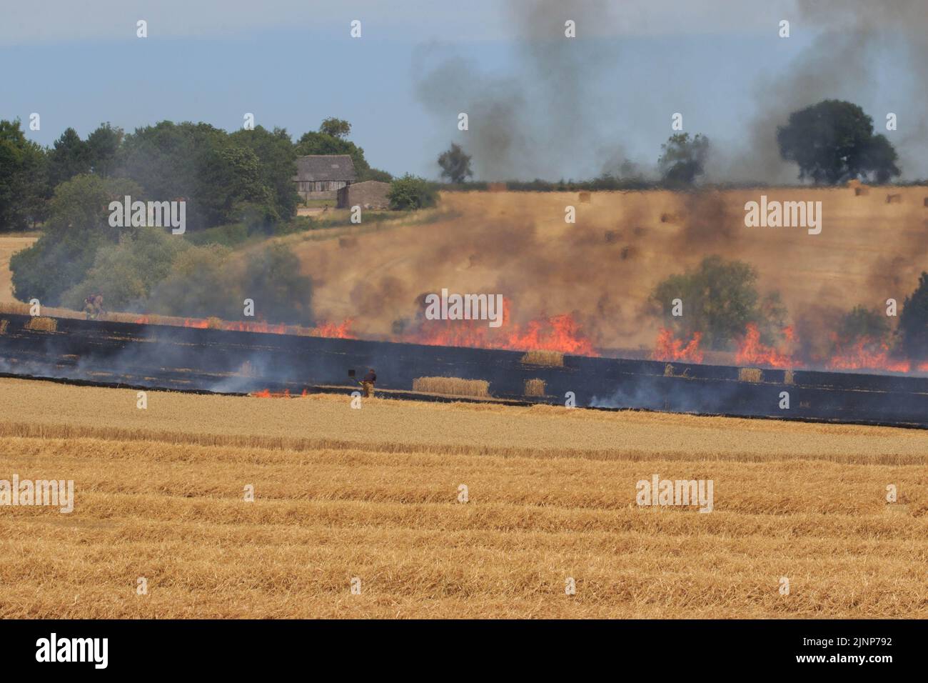 7-8-2022 Firefighters and farmers tackle a massive field fire in a crop ...