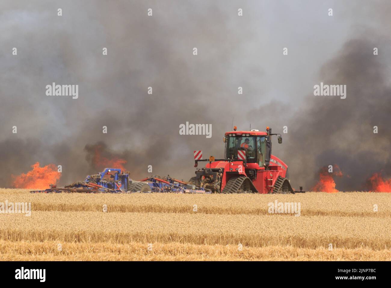 7-8-2022 Firefighters and farmers tackle a massive field fire in a crop ...