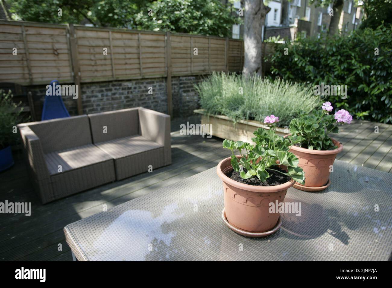 Garden design. decking and outdoor space with planters and pots. london ...