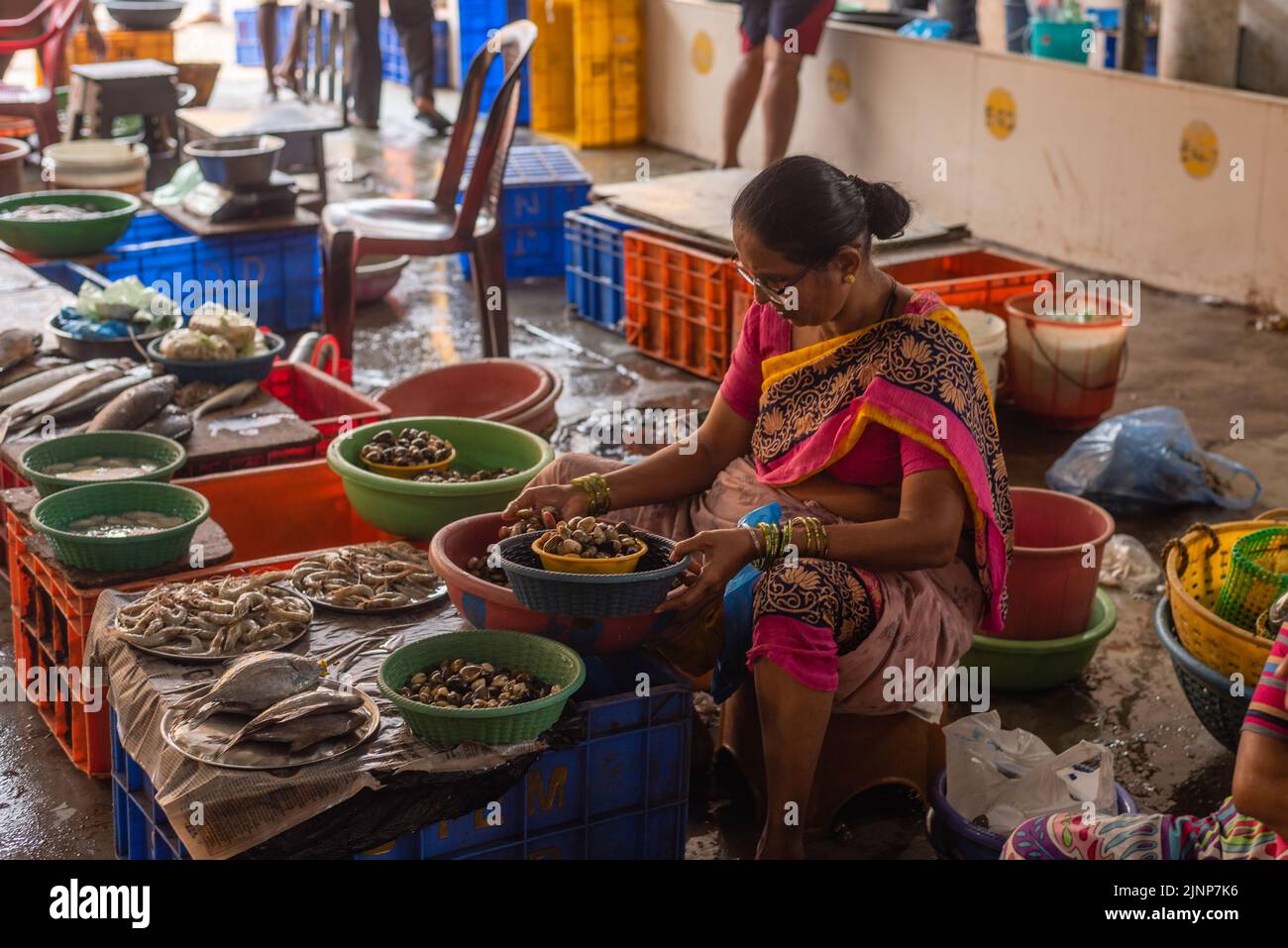 Panaji Goa India April 9 2022: Fisher woman selling Freshly caught fish ...