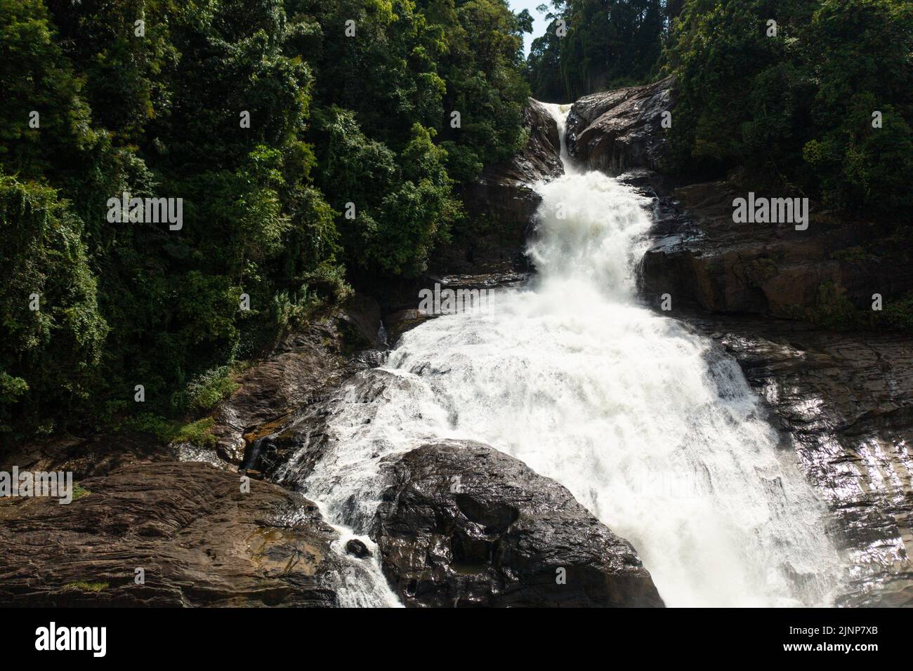 Waterfall in the jungle. Bopath Falls in the rainforest. Sri Lanka ...